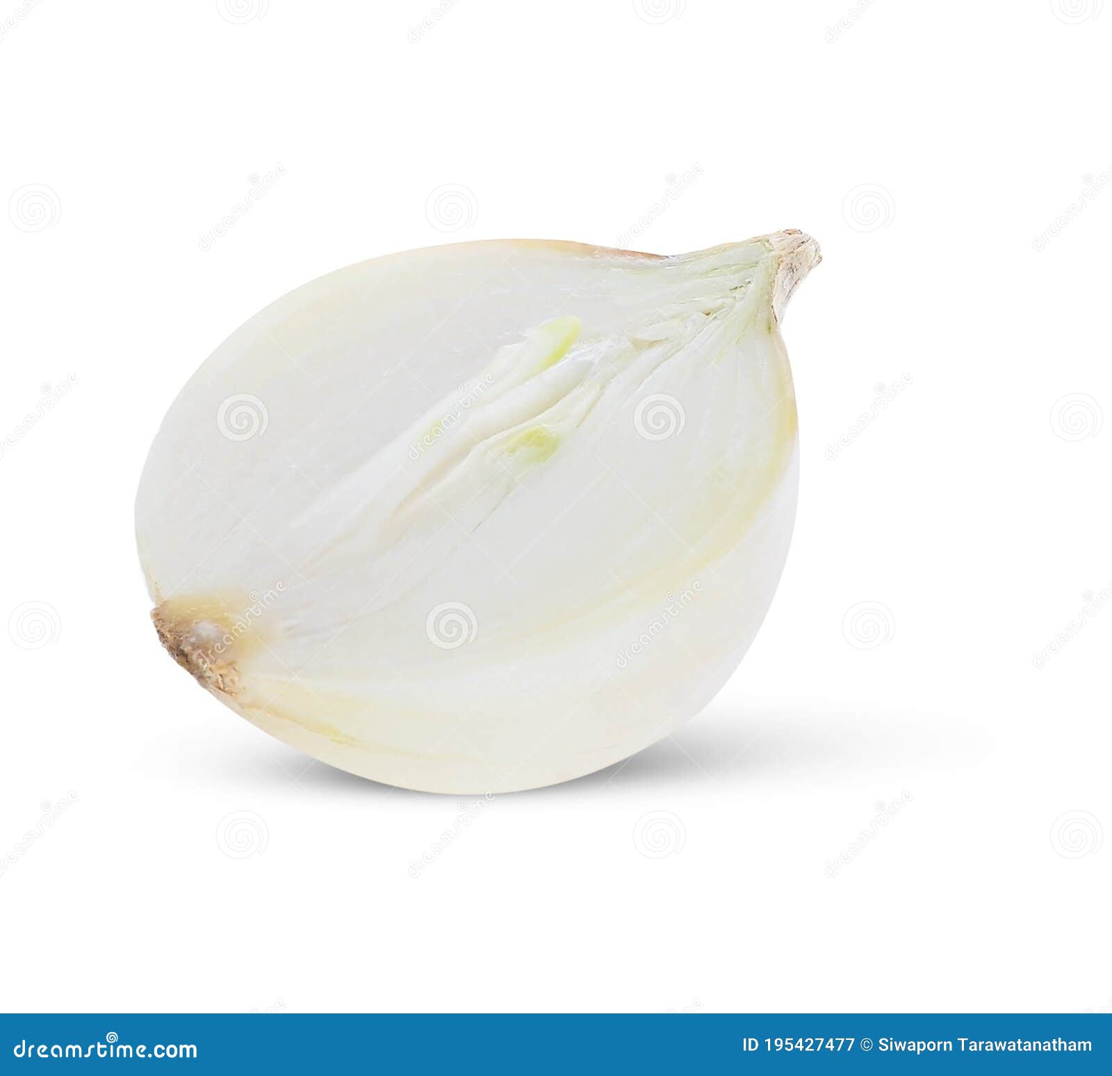 White Onion on White Background Stock Image - Image of cooking, bunch ...