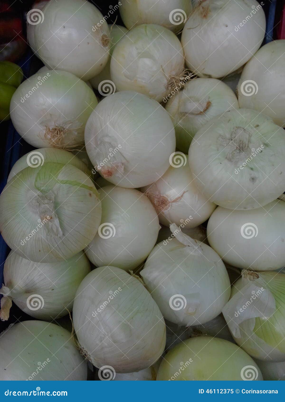 White onion stock image. Image of healthy, white, vegetables - 46112375