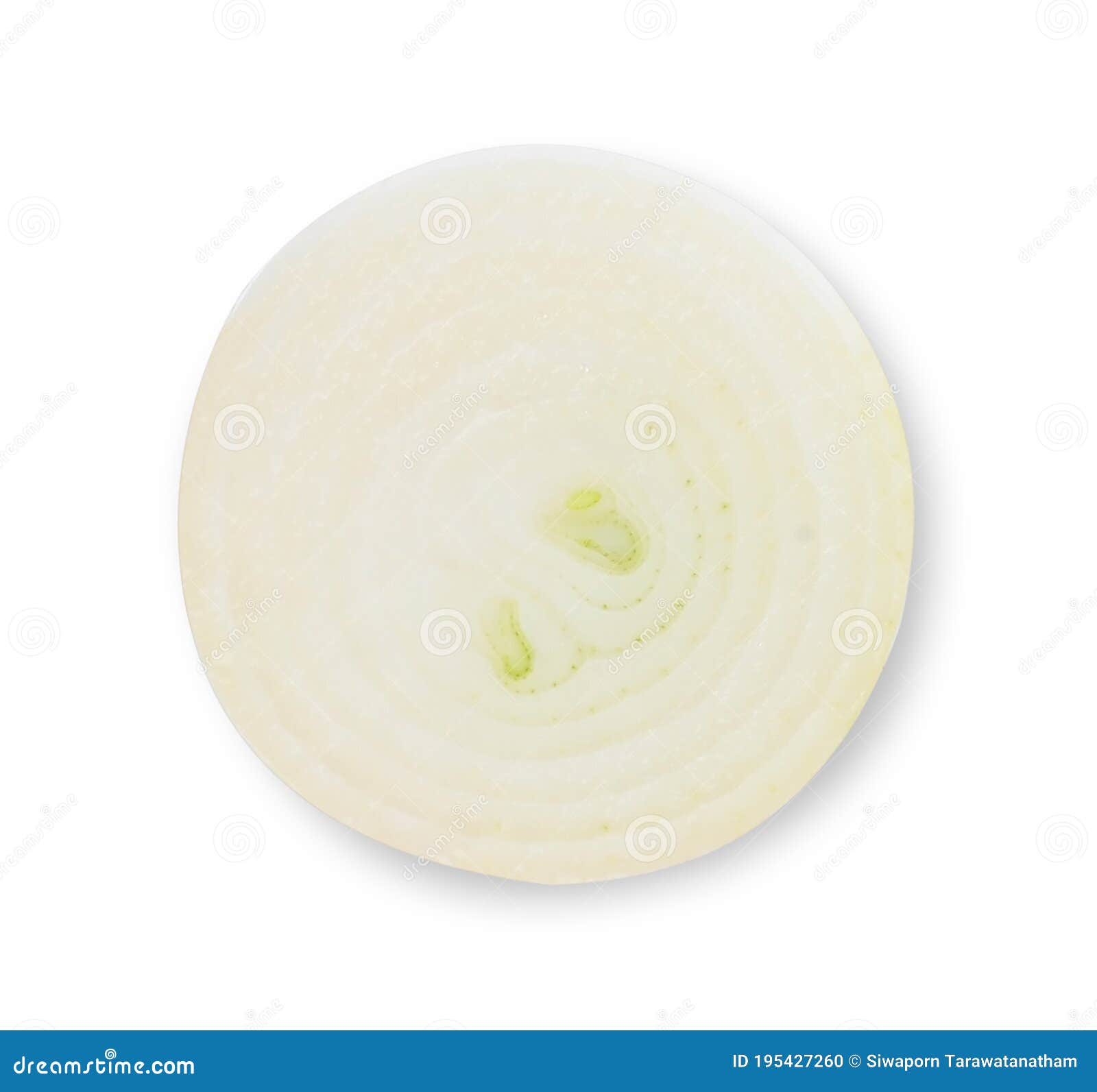 White Onion Top View on White Background Stock Photo - Image of ...