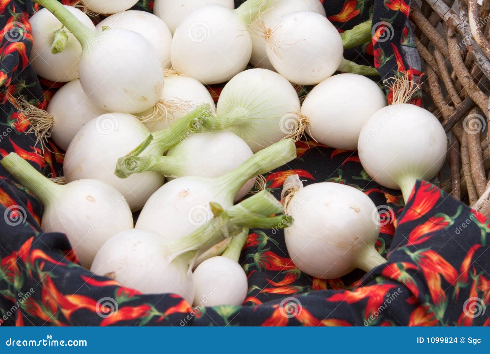 White onions stock photo. Image of onion, harvest, husk - 1099824