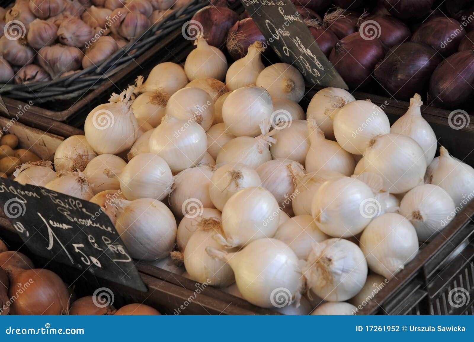 White onions stock photo. Image of vegetables, healthy - 17261952