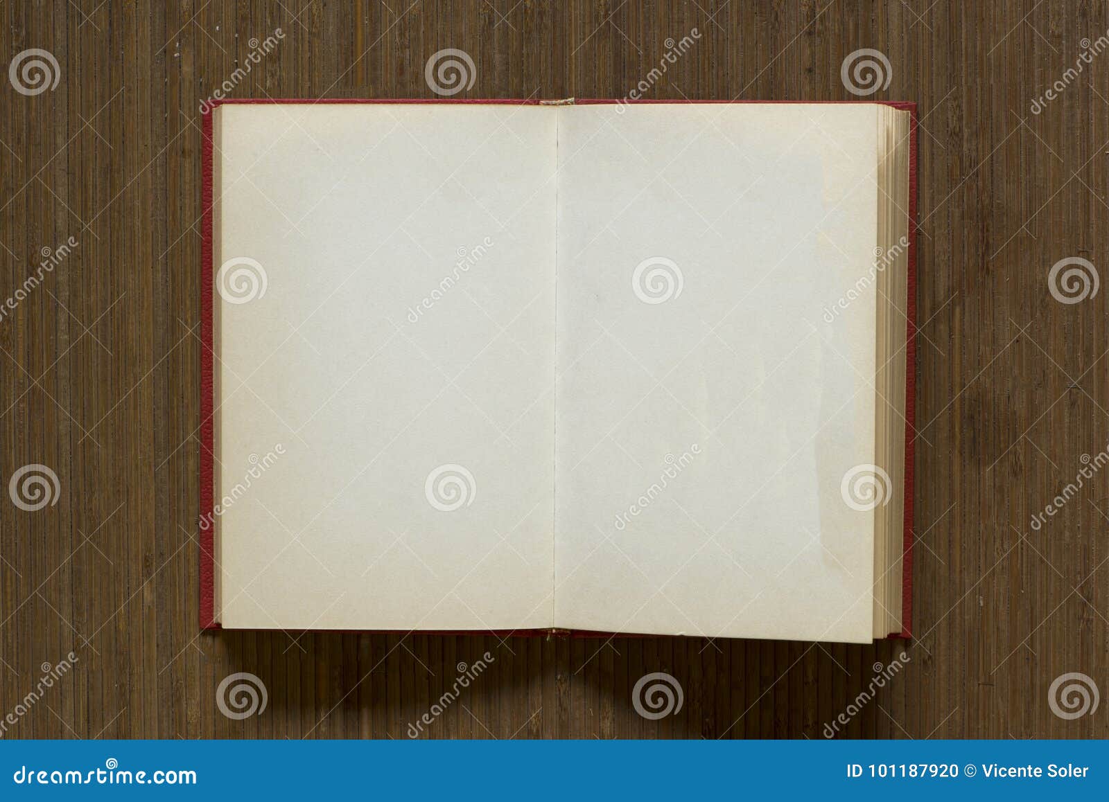 A white open book stock photo. Image of open, blank - 101187920