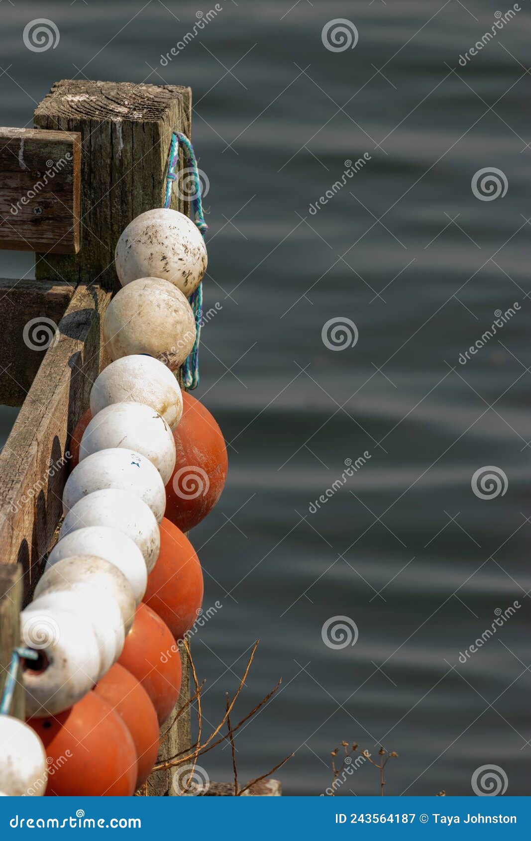 White and Orange Floats on Strings Over Water Stock Image - Image of ...