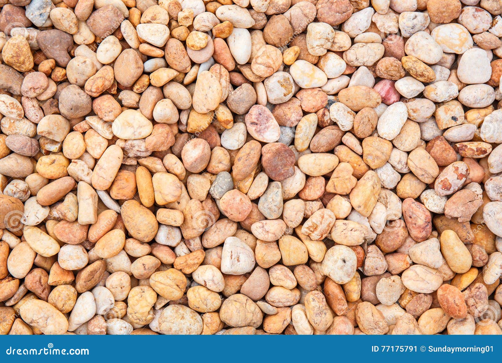 White ,orange Pebbles Background Orange Pebbles Background Stock Image ...
