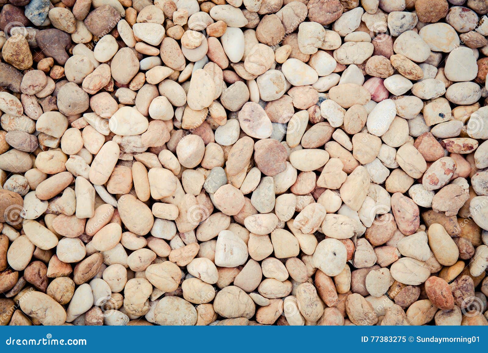 White ,orange Pebbles Background Orange Pebbles Background Stock Image ...