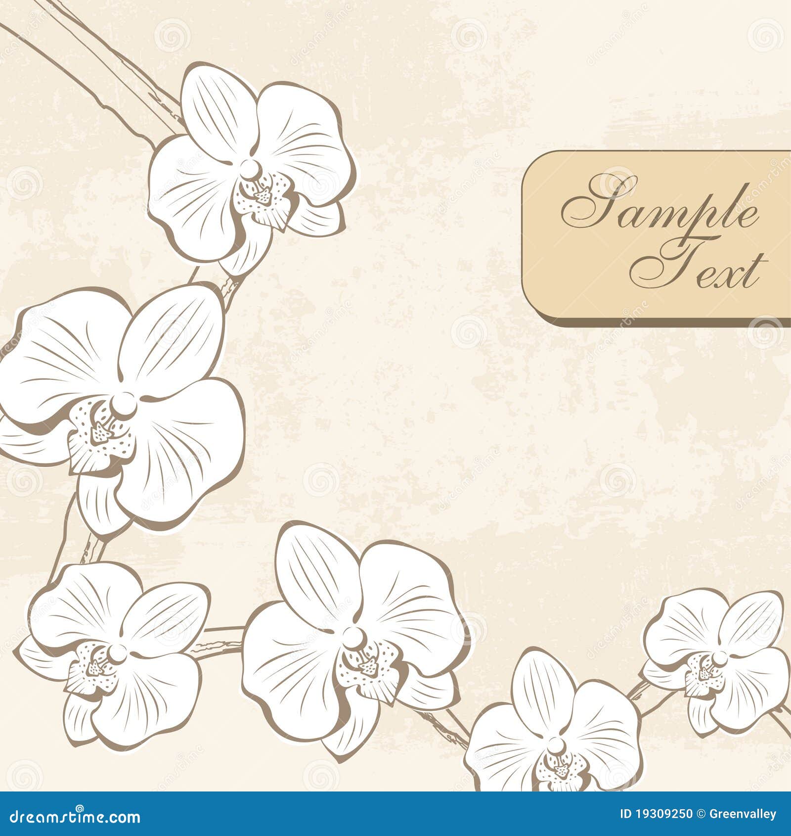 White orchid flower stock vector. Illustration of branch - 19309250