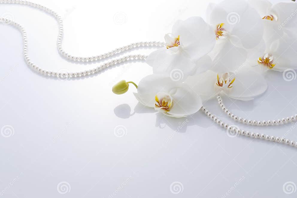 White orchid and pearls stock image. Image of freshness - 19053673