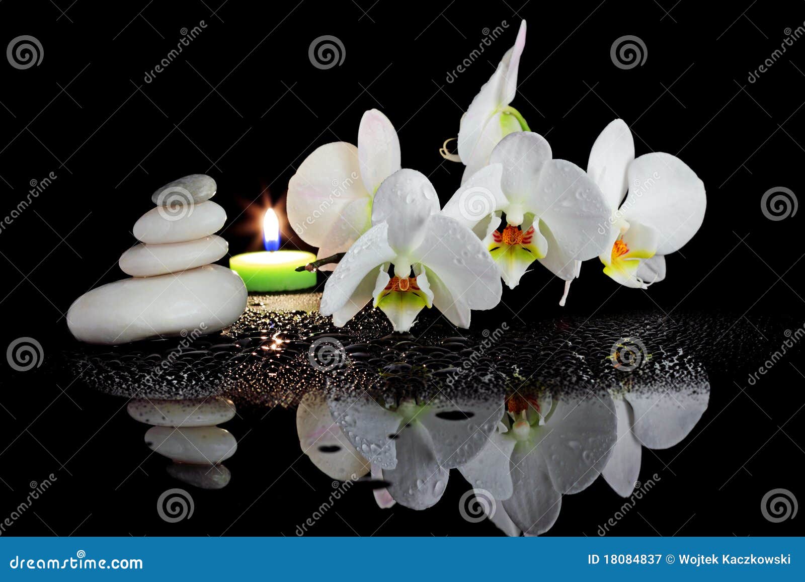 White orchid and spa stock image. Image of impression - 18084837