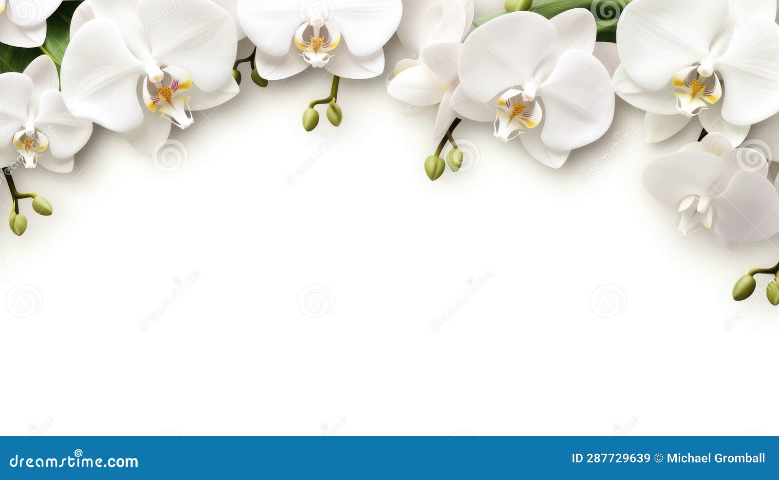 White Orchids As a Frame Isolated on White Created with Generative AI ...