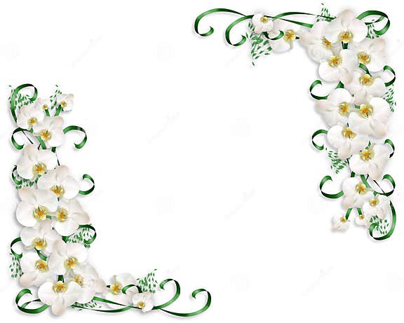 White Orchids Border Wedding Invitation Stock Illustration ...
