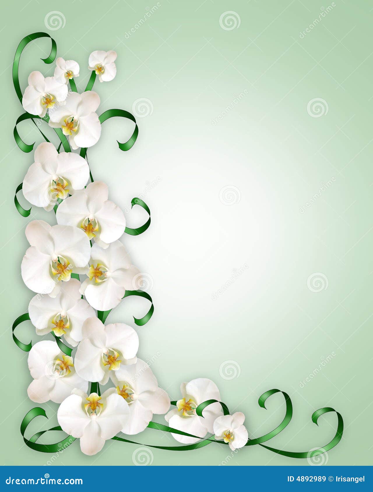 White Orchids Wedding Invitation Stock Illustration - Illustration of ...