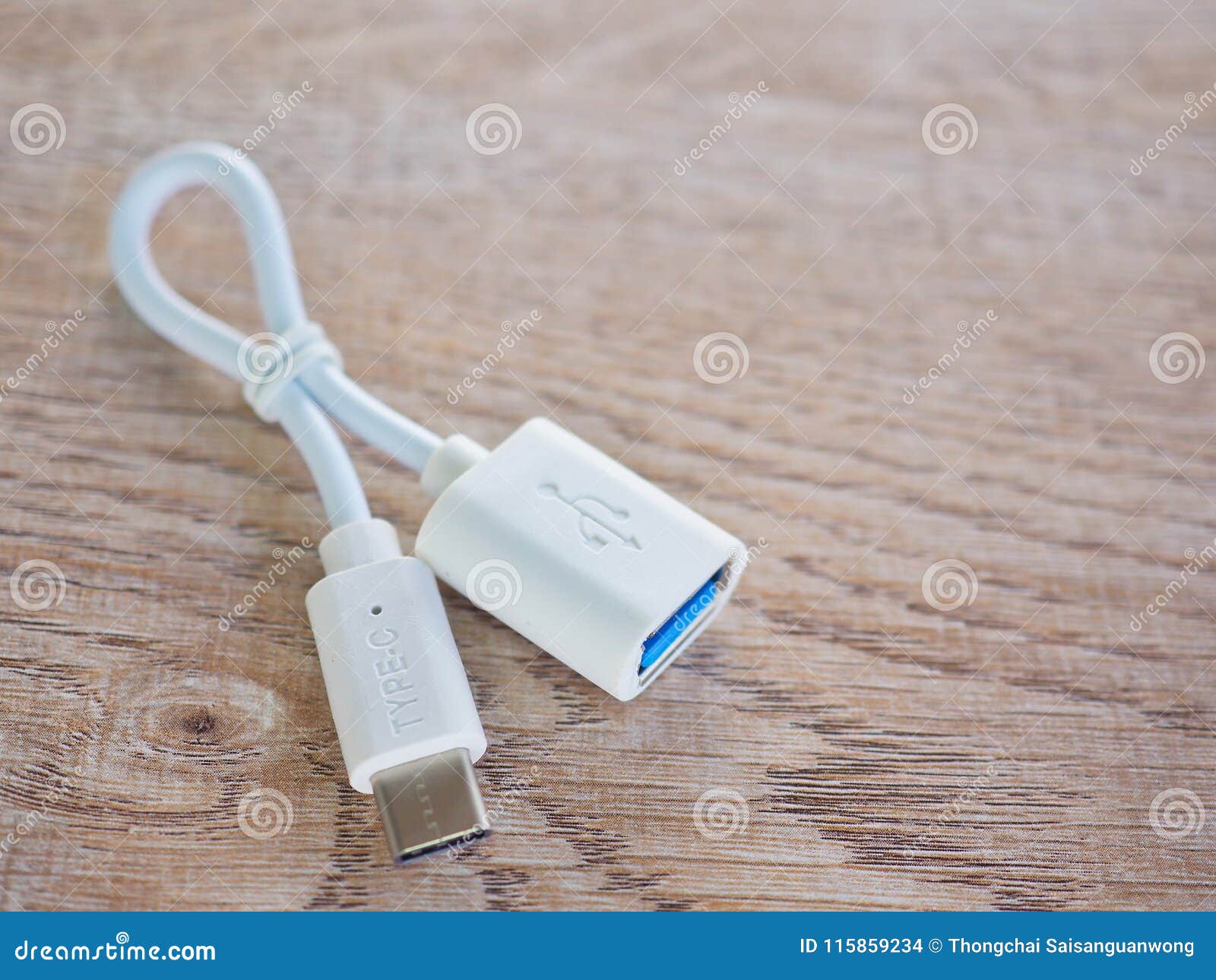 White Otg Cable with Usb Type-c Connection Stock Photo - Image of flash ...