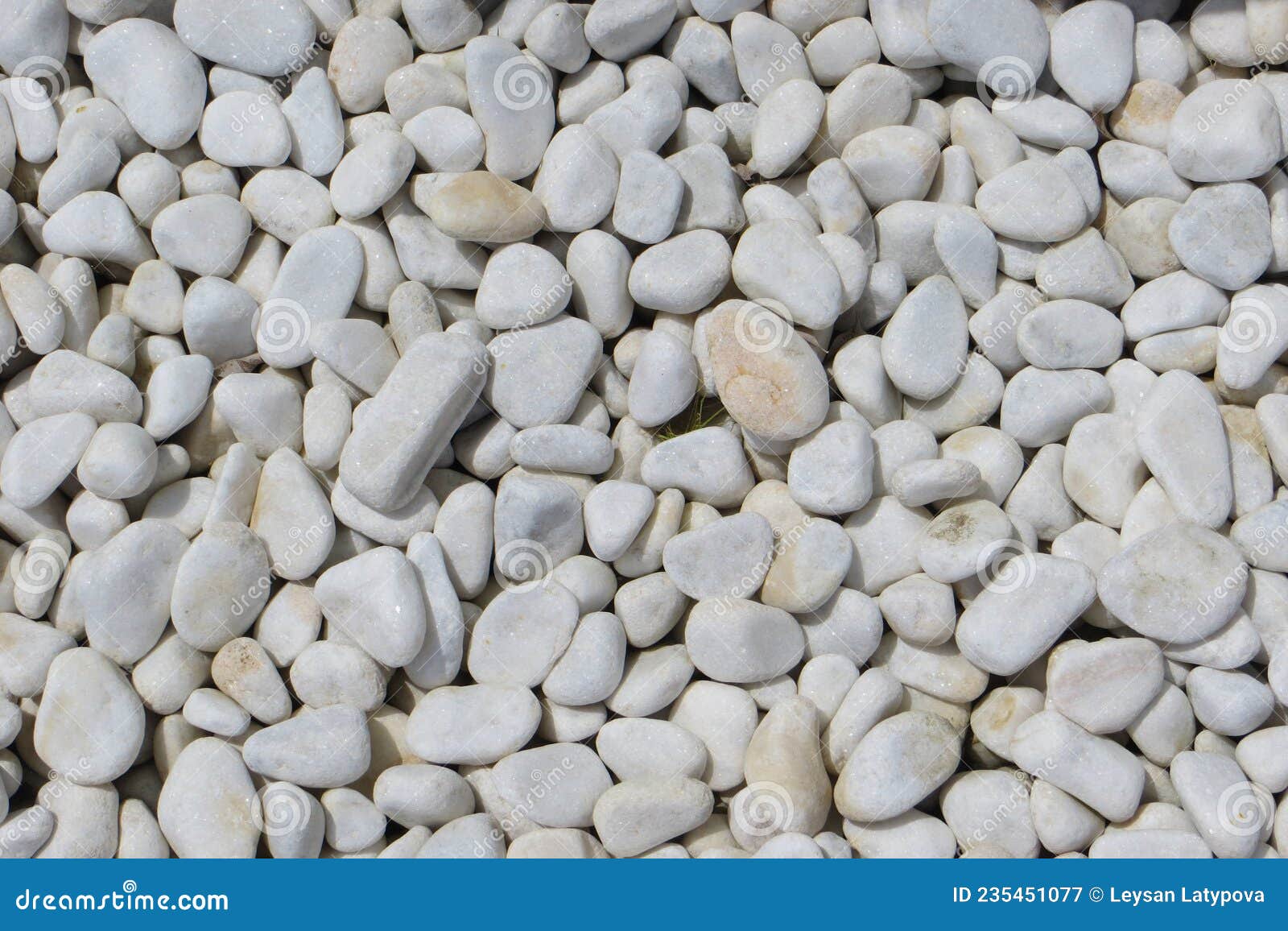 White Oval Pebble Stone Background Backdrop Copyspace Stock Image ...