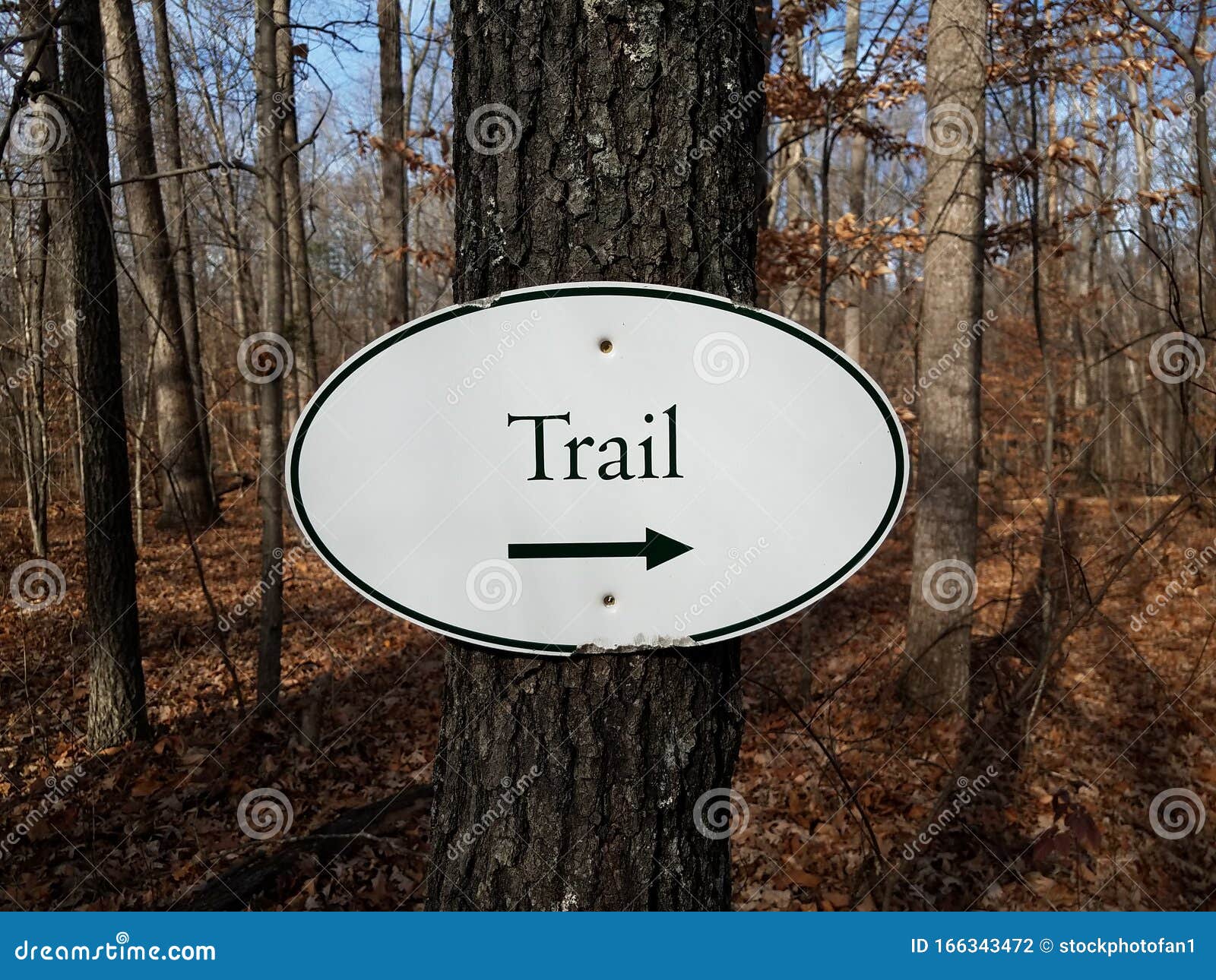 White Oval Trail Sign on Tree in Forest or Woods Stock Photo - Image of ...