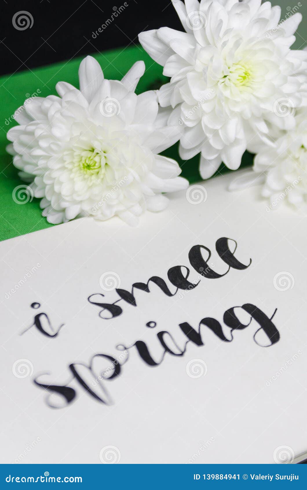 I smell spring stock image. Image of color, decorative - 139884941