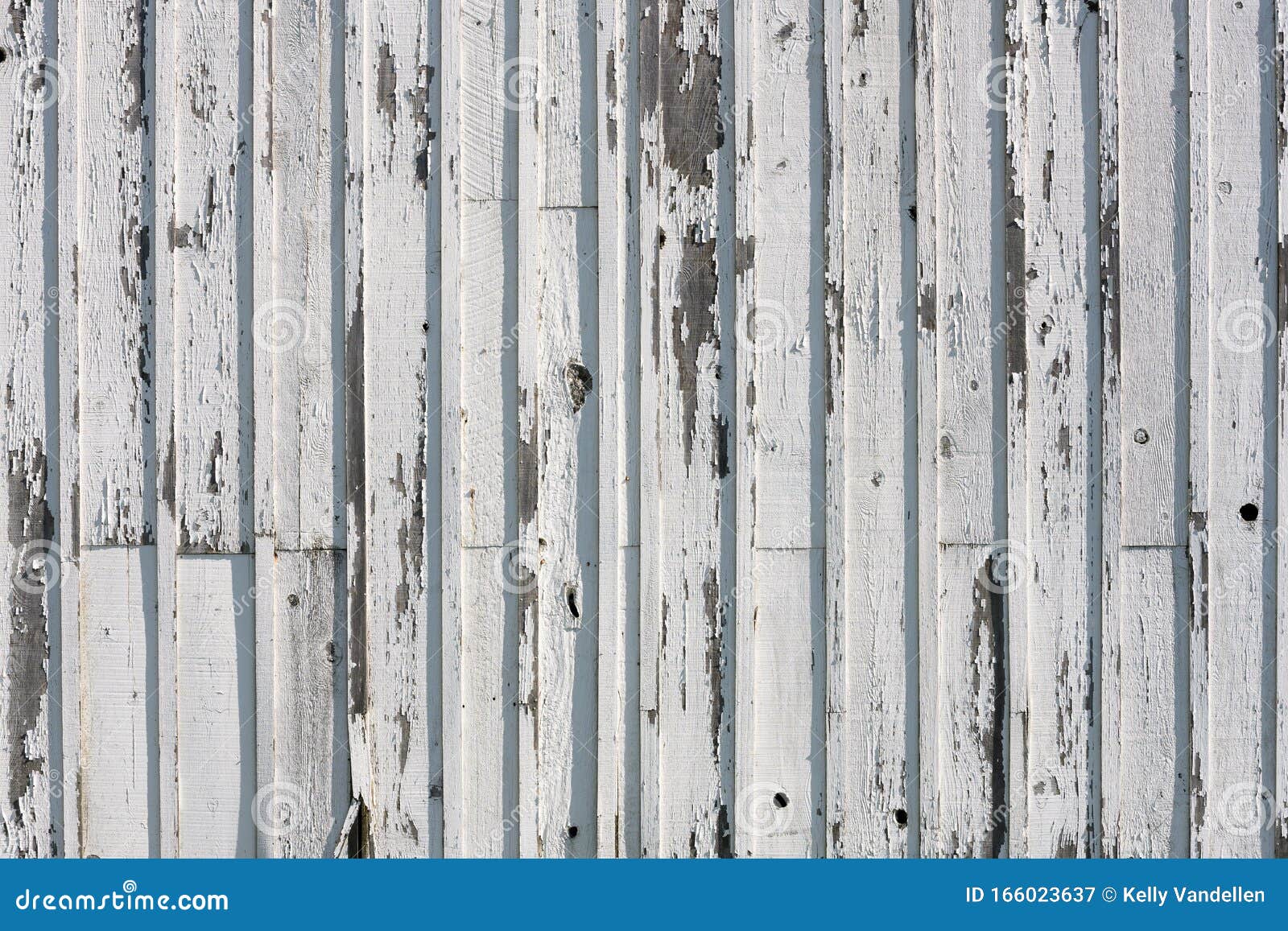 White Paint Chipping on Barn Wall Stock Image - Image of board, close ...