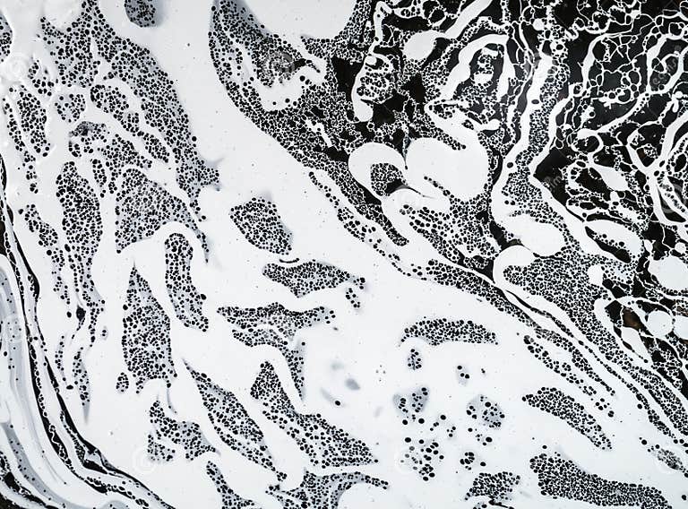 White Paint Spill on the Water Stock Photo - Image of spill, paint ...