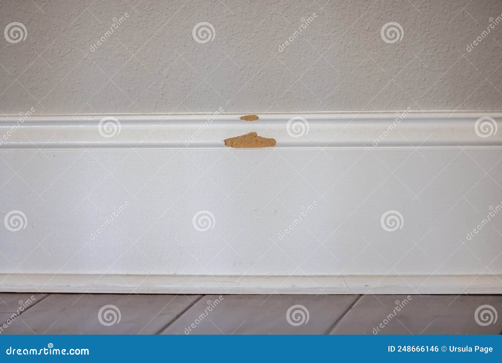 The White Painted Baseboard Trim on a New Construction House that Has a ...