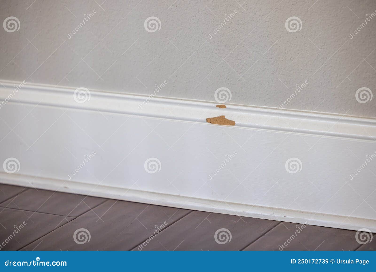 The White Painted Baseboard Trim on a New Construction House that Has a ...