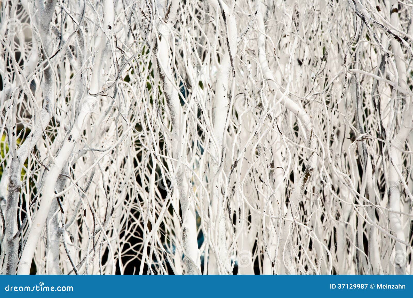 White painted branches stock image. Image of background - 37129987