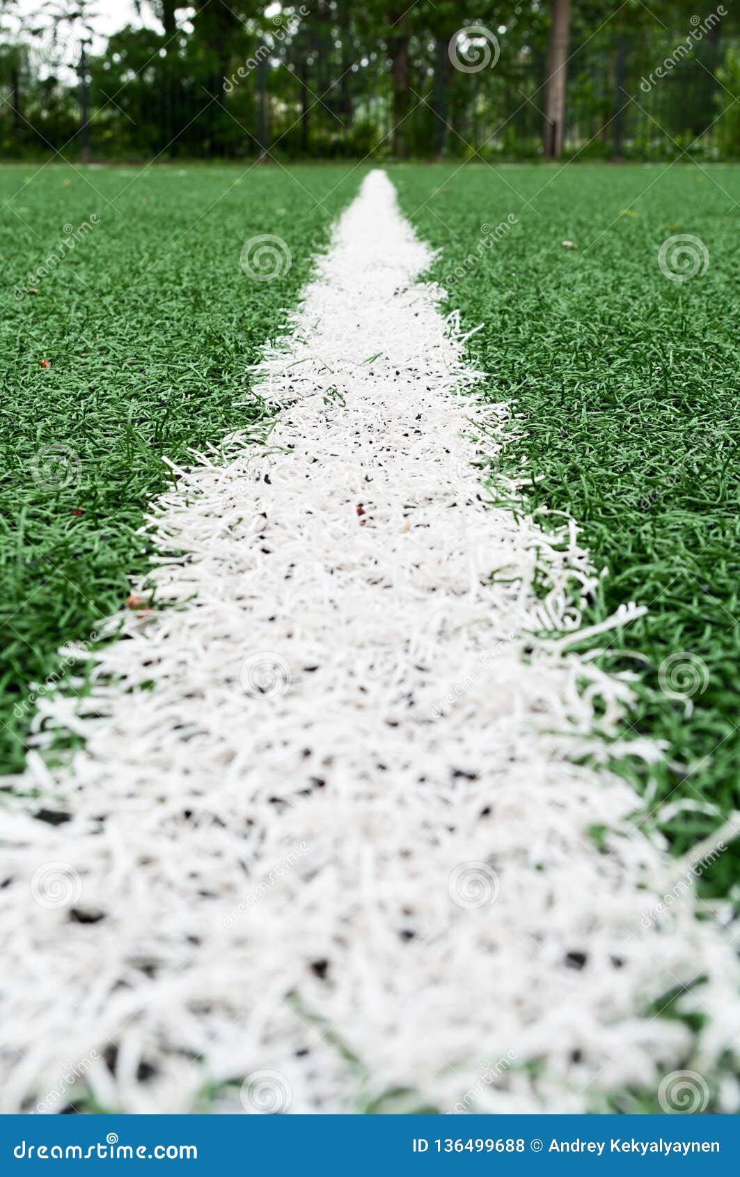 White Painted Line on Artificial Green Grass of Playing Field, Close-up ...