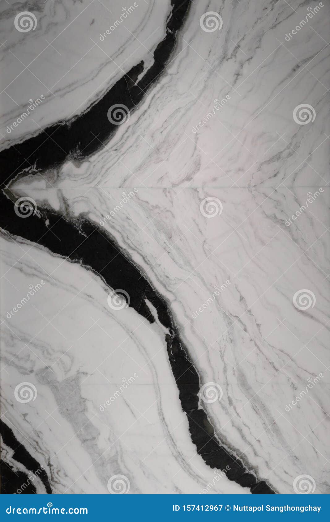 White Panda Natural Marble Texture in Book Match Pattern / Seamless ...