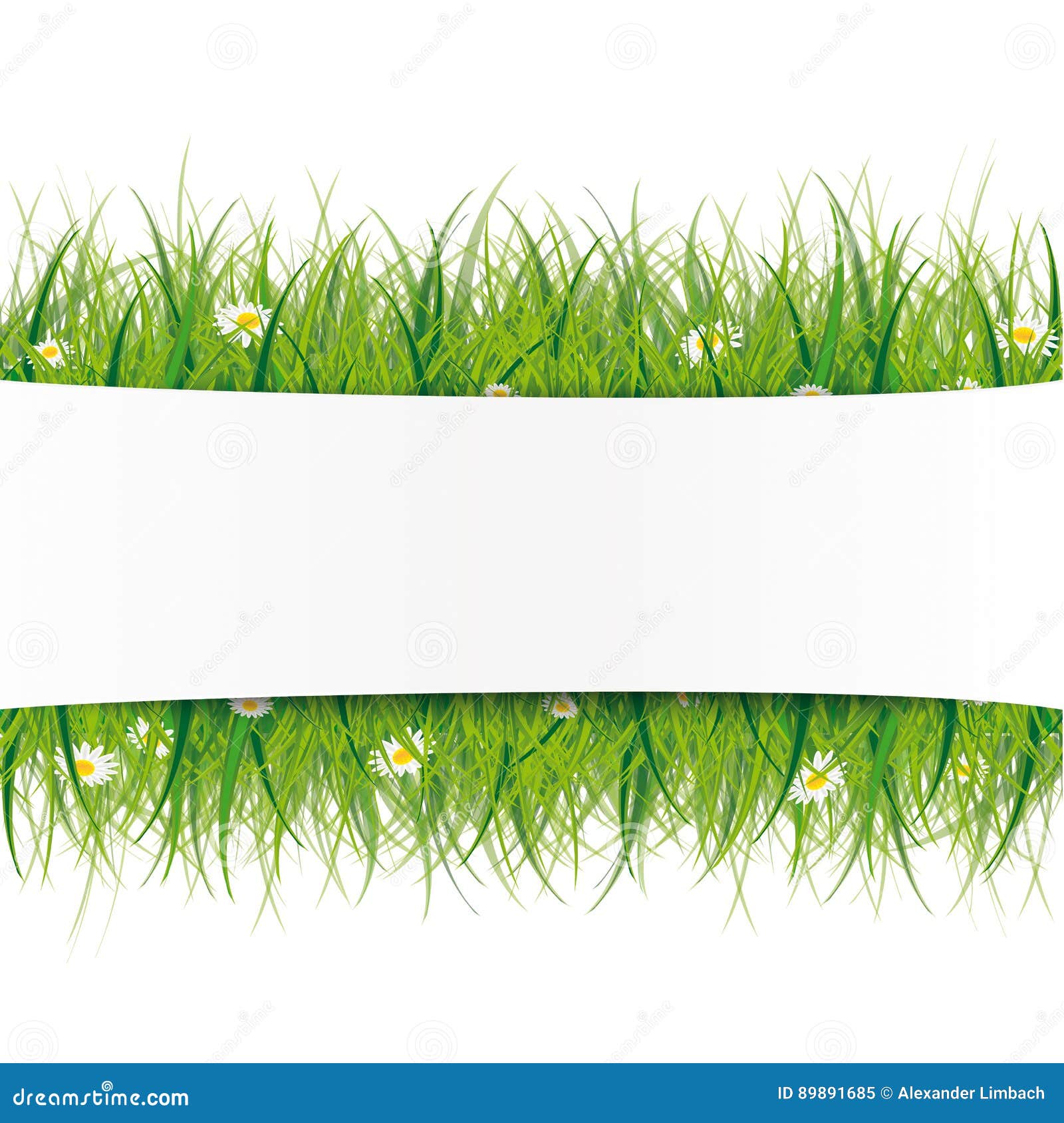 White Paper Banner Green Grass Stock Vector - Illustration of holiday ...
