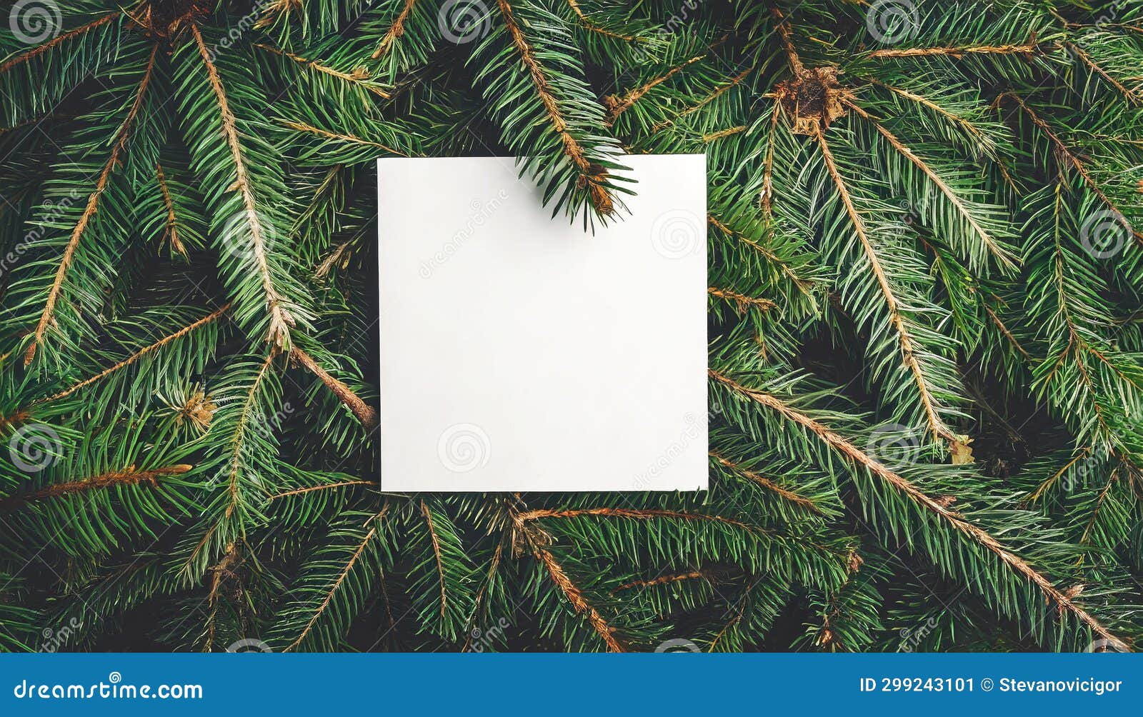 White Paper Card Note Mockup with Green Fir Tree Branches, Creative ...