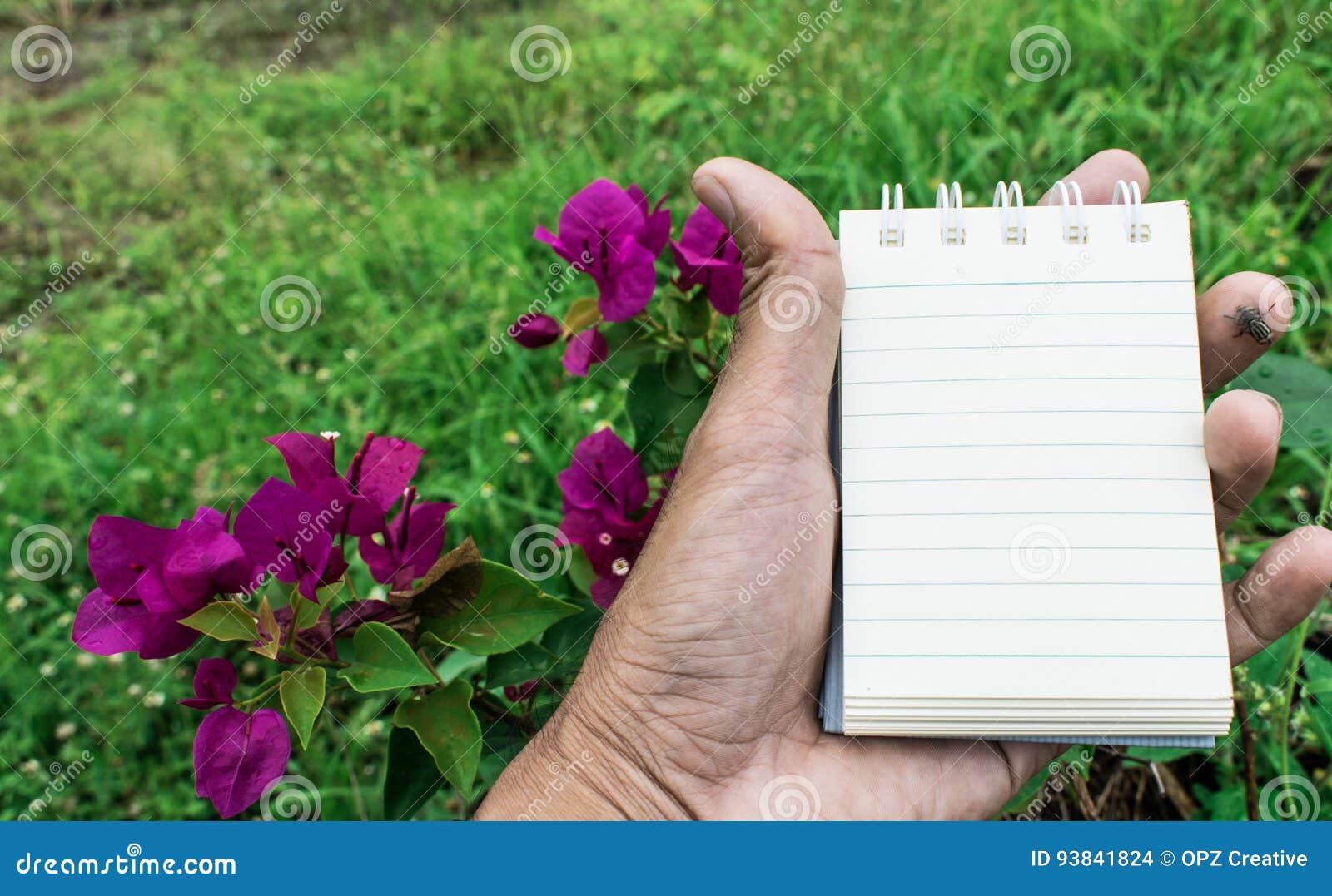 White Paper Flower Backdrop Used for Note Taking. Stock Photo - Image ...