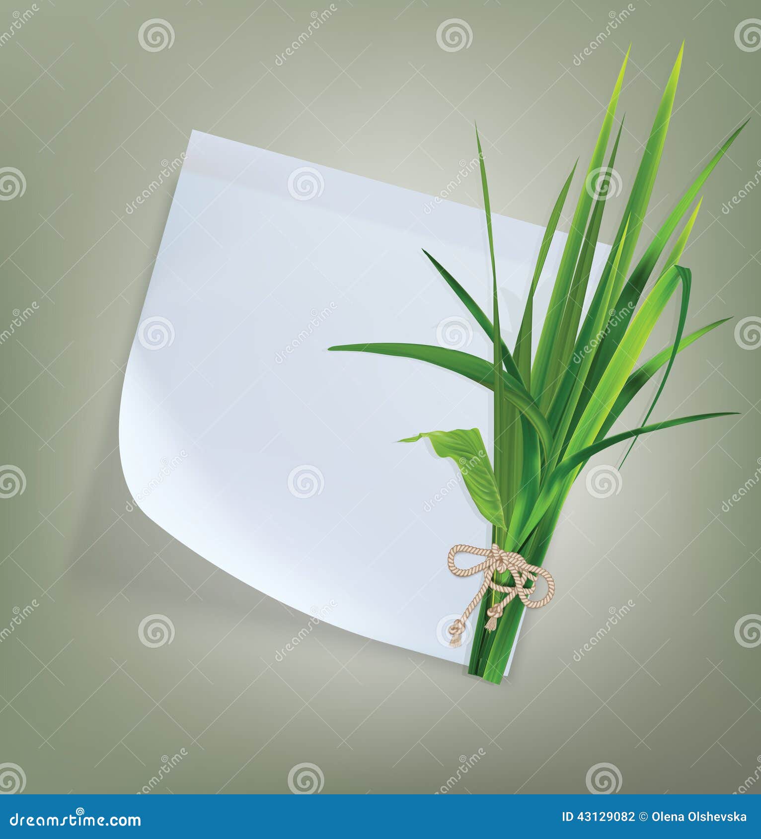 White Paper with Grass and Flowers Stock Vector - Illustration of card ...