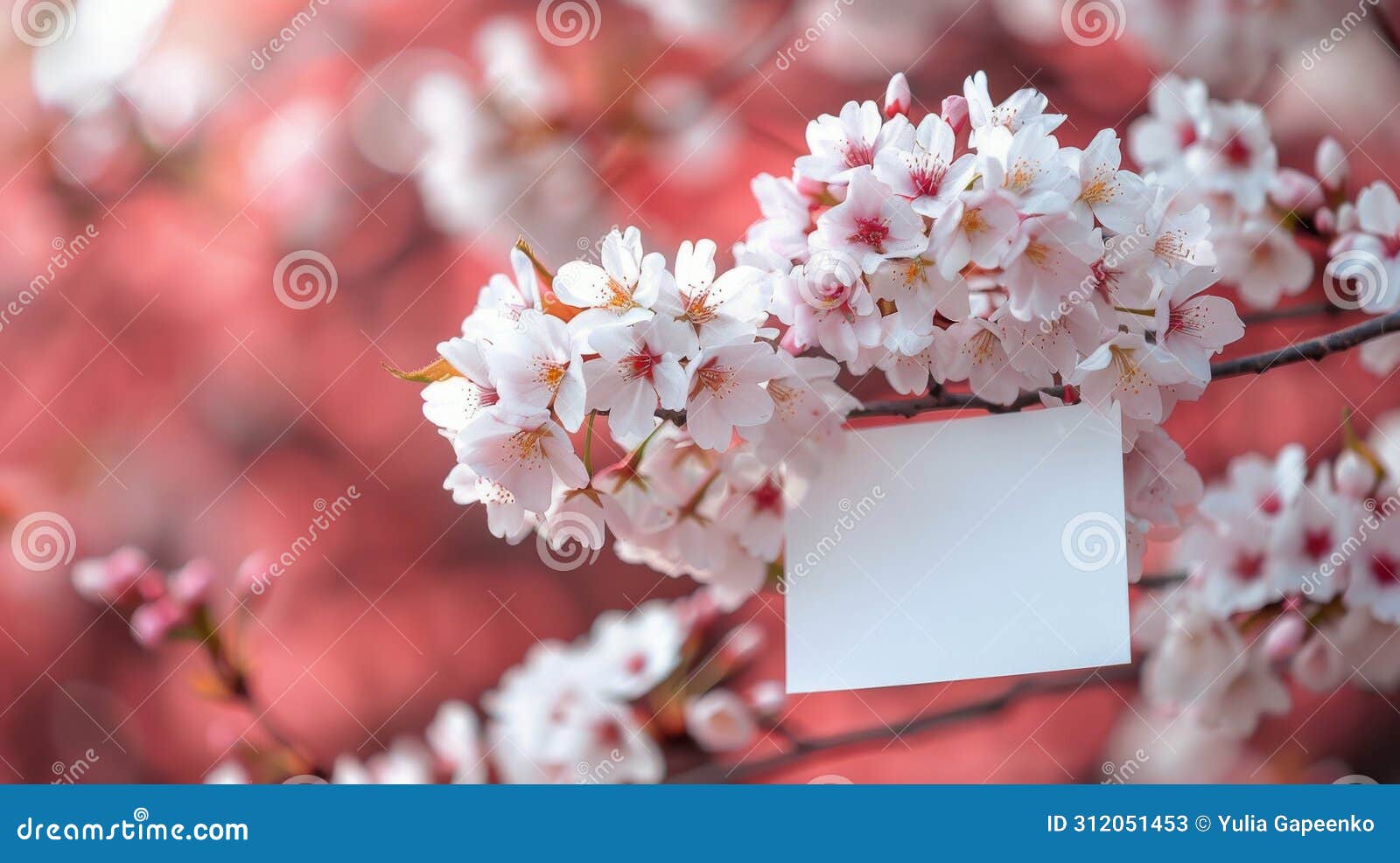 White Paper Hanging from Tree Stock Image - Image of nature, forest ...