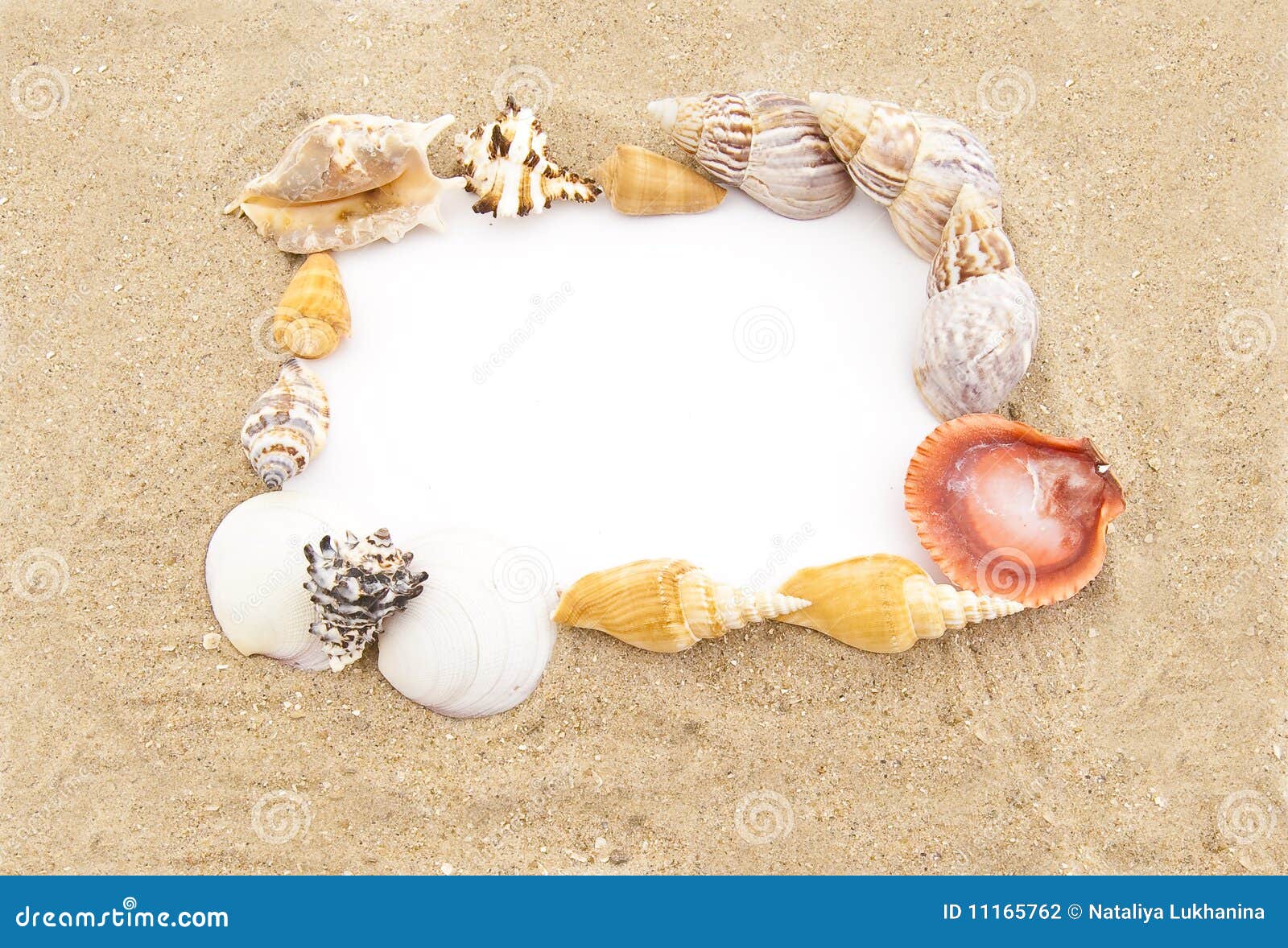 White Paper for Note in a Frame from Sea Shells Stock Photo - Image of ...