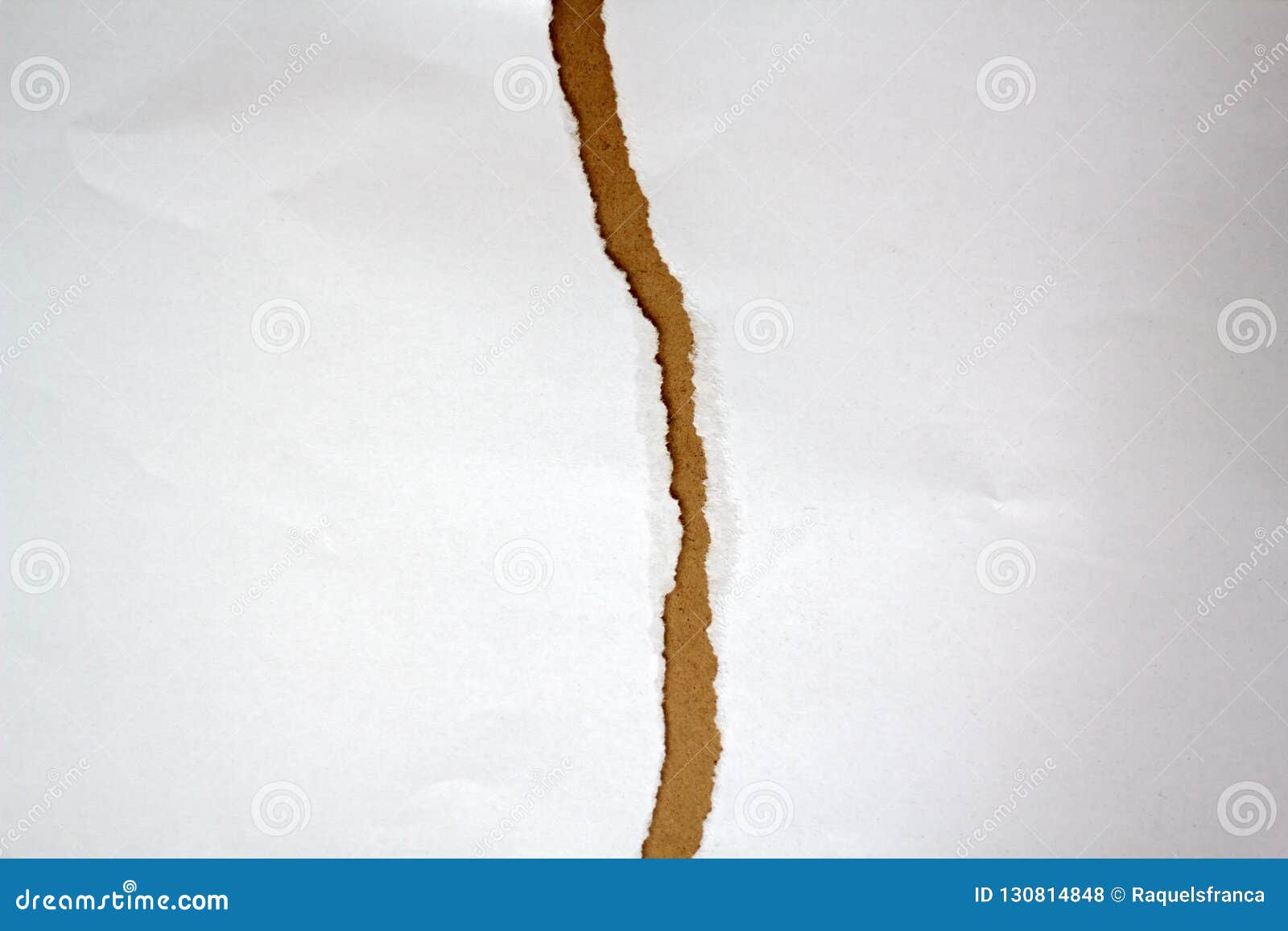 White Paper ripped in half stock photo. Image of banner - 130814848