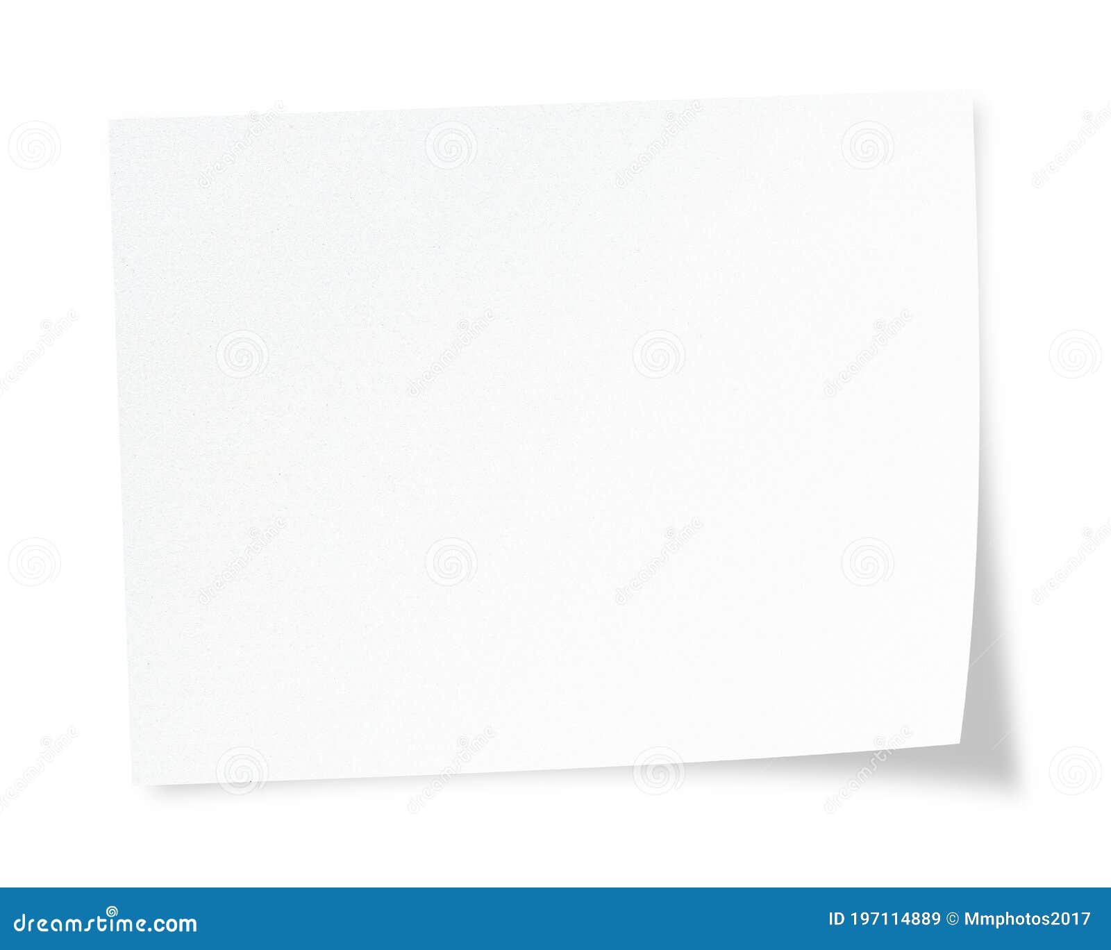White Paper Sheet Background - Isolated Stock Image - Image of letter ...