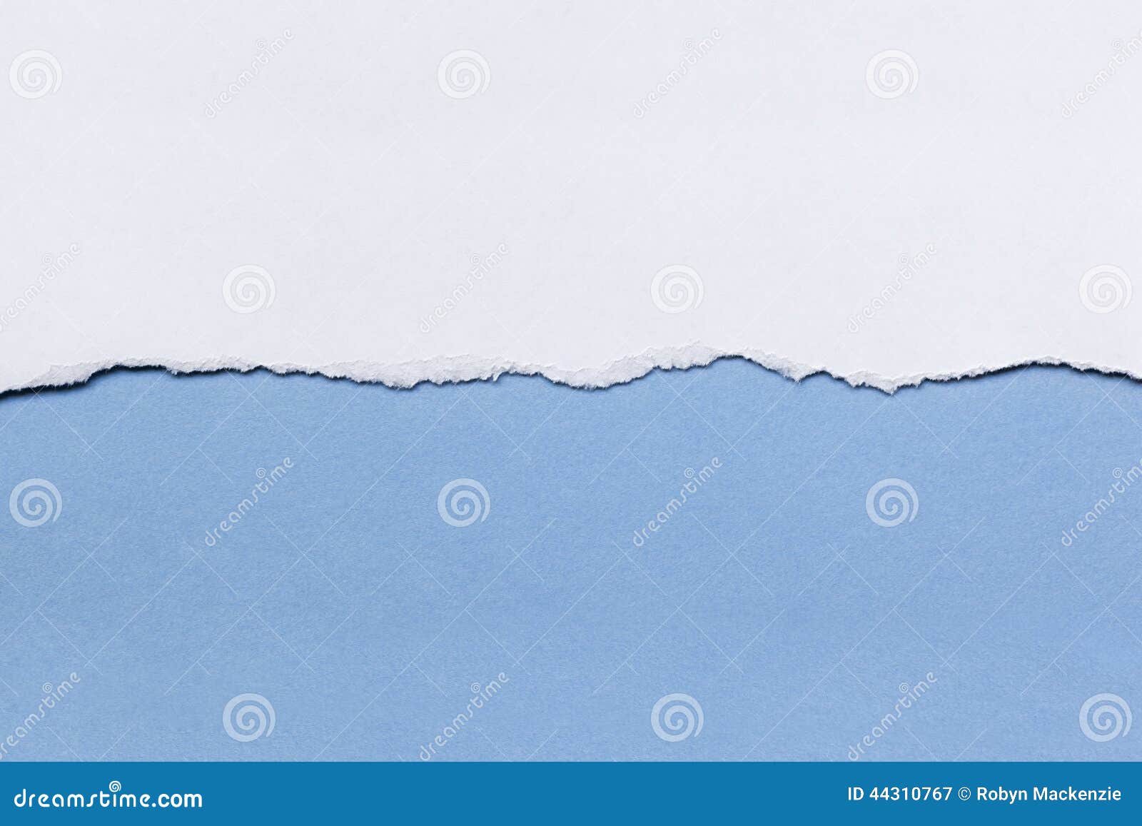 White Paper Tear over Blue stock image. Image of grunge - 44310767