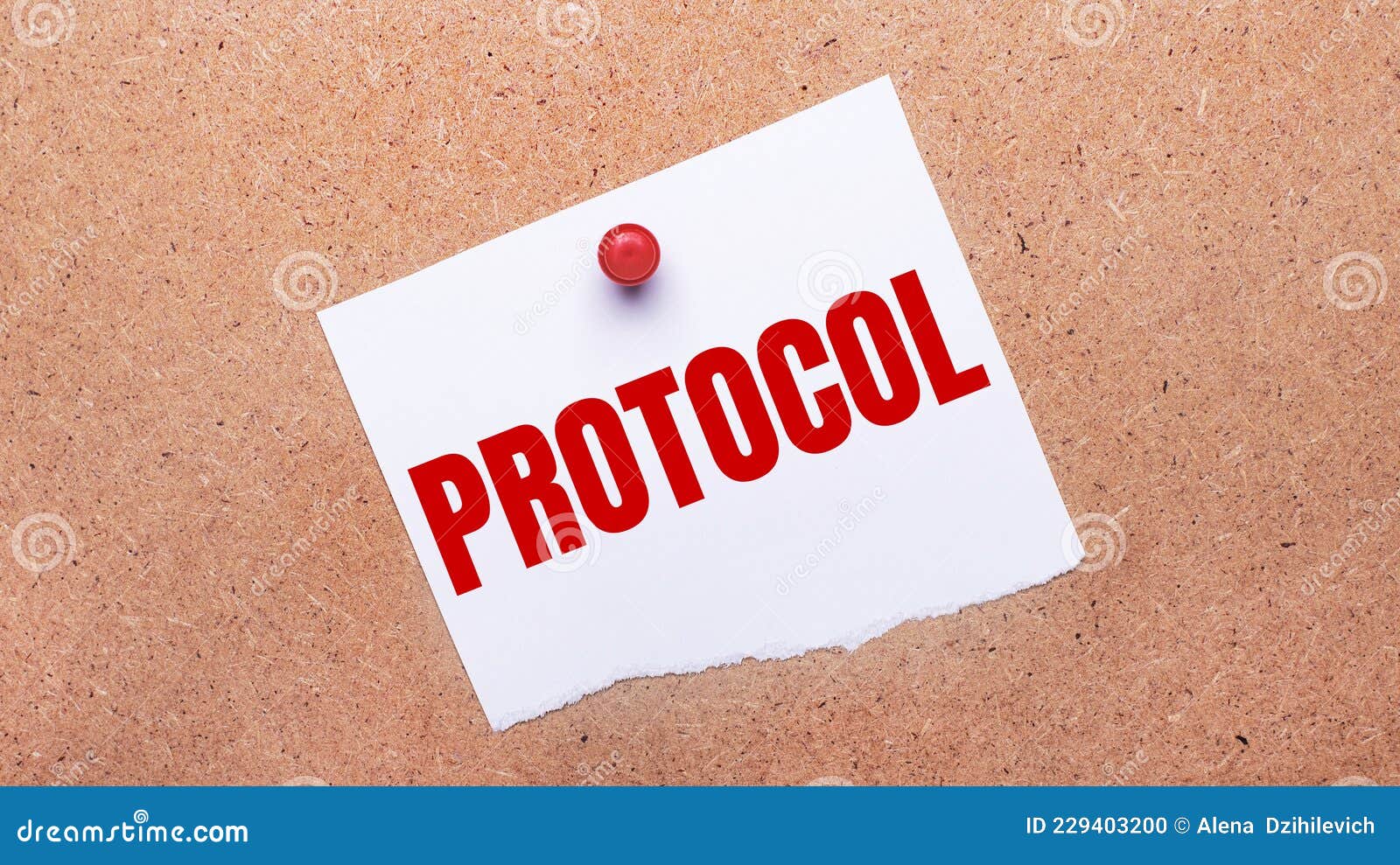 White Paper with the Text PROTOCOL is Attached To the Wooden Background ...