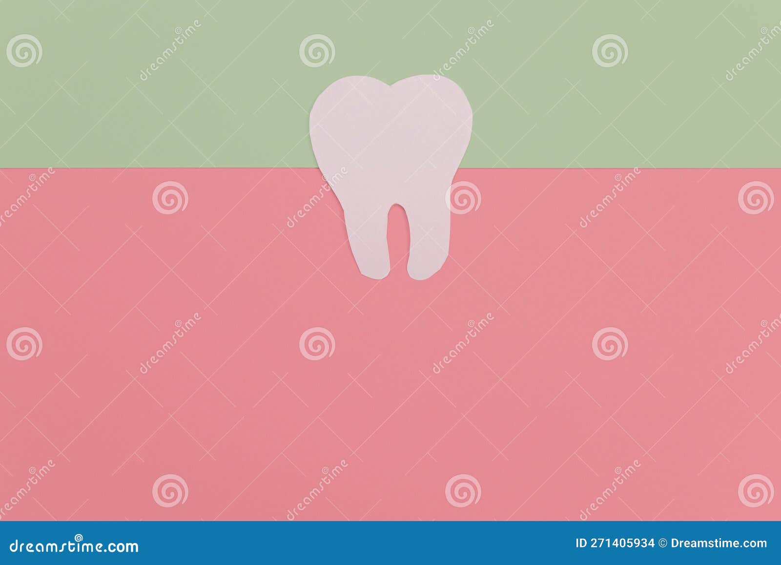 White Paper Tooth. Dentistry, Dentist Services Stock Photo - Image of ...