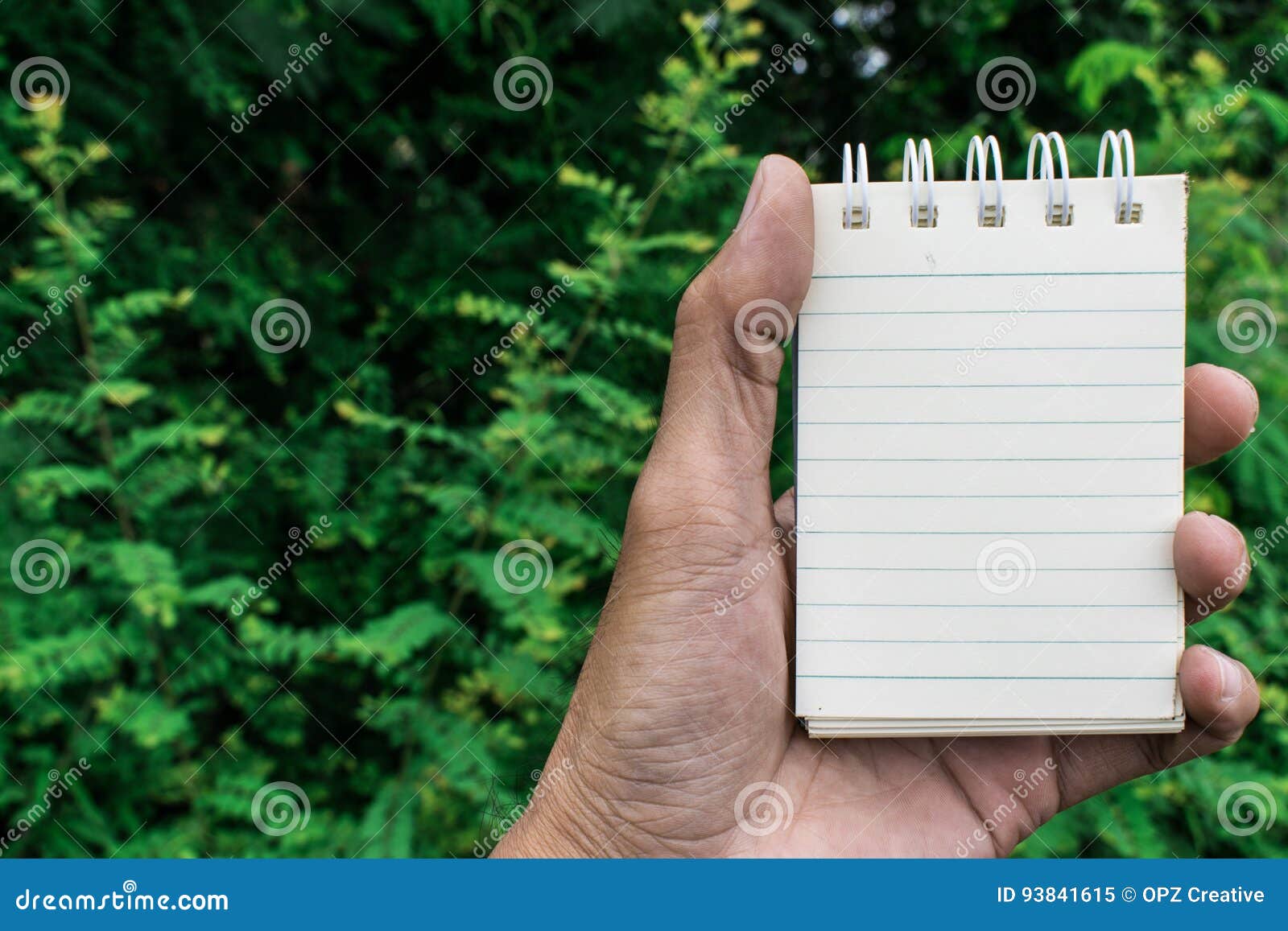 White Paper Tree Backdrop Used for Note Taking. Stock Image - Image of ...