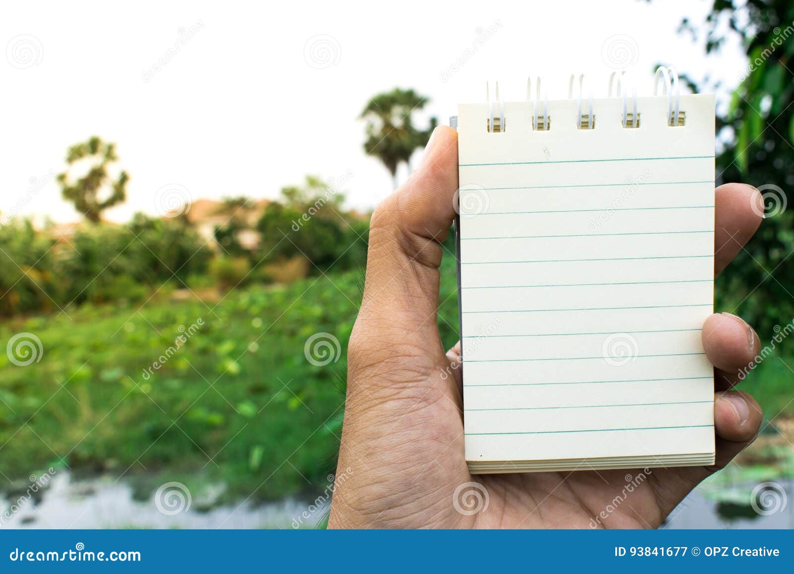White Paper Tree Backdrop Used for Note Taking. Stock Image - Image of ...