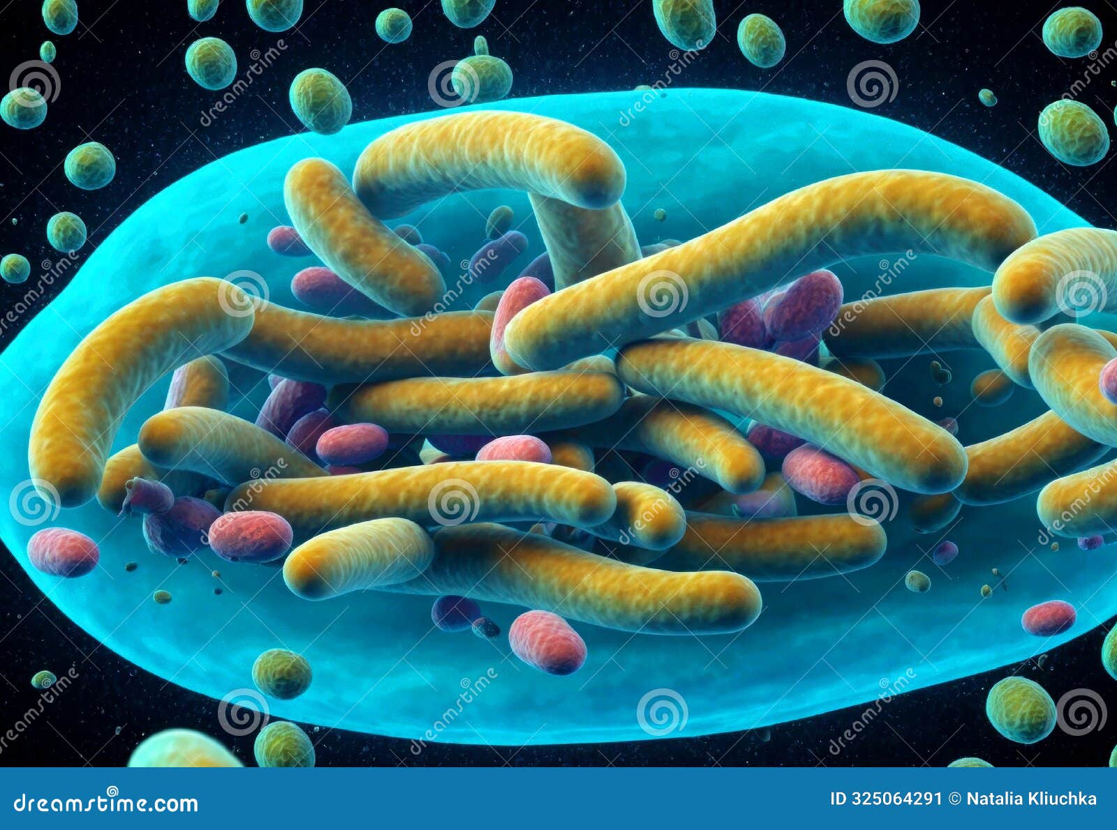 White Parasites Under a Microscope. Roundworms in the Human Body ...