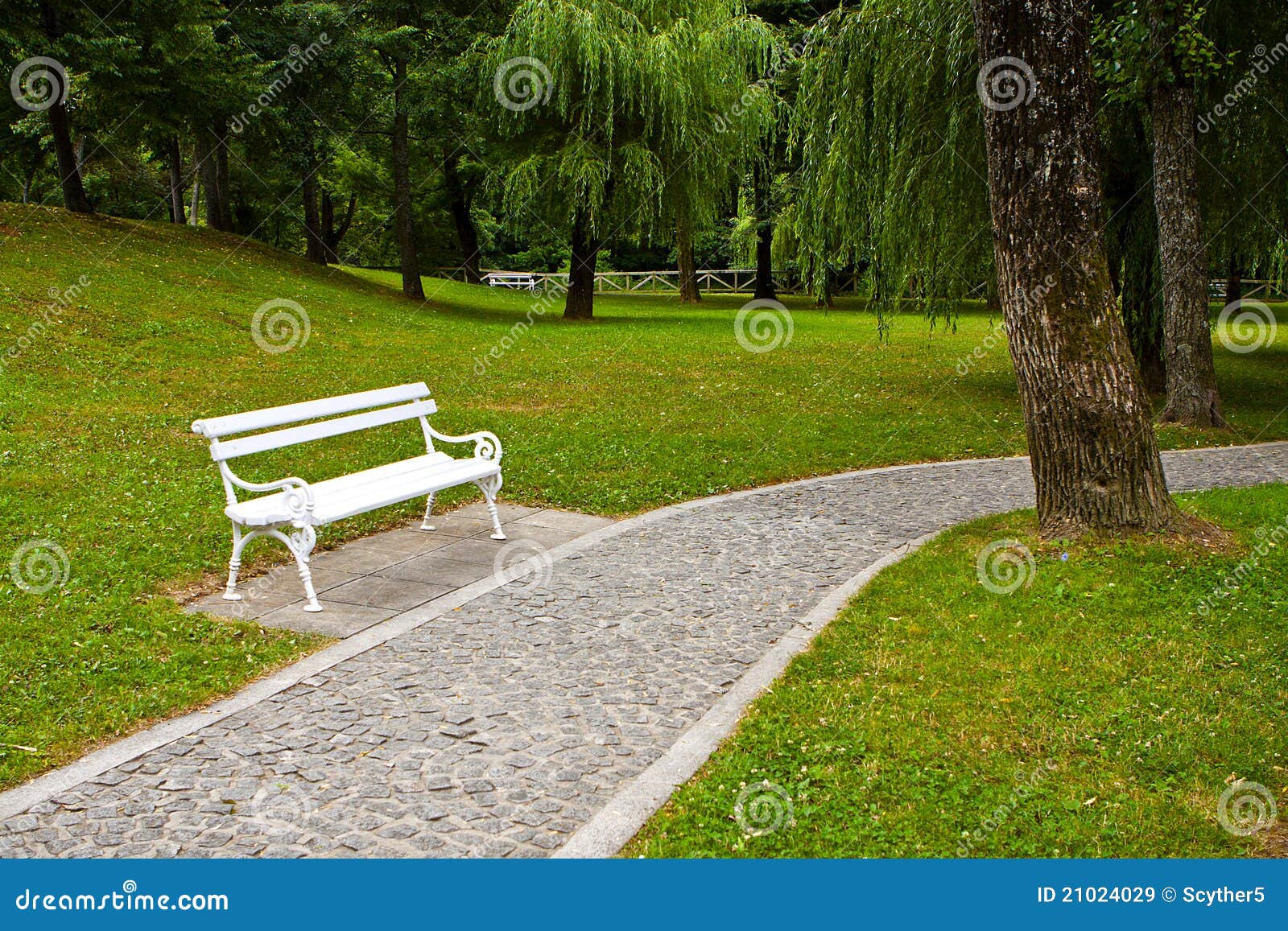 White park bench stock image. Image of tree, park, asphalt - 21024029
