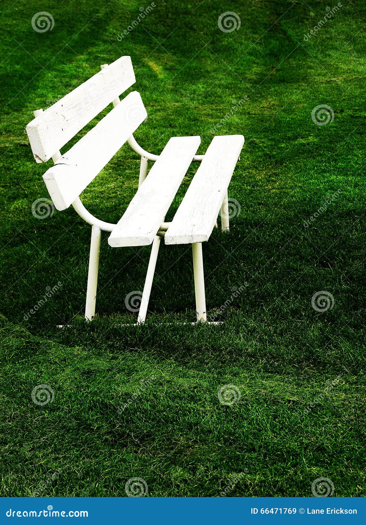 White Park Bench on Green Grass Stock Image - Image of nature ...