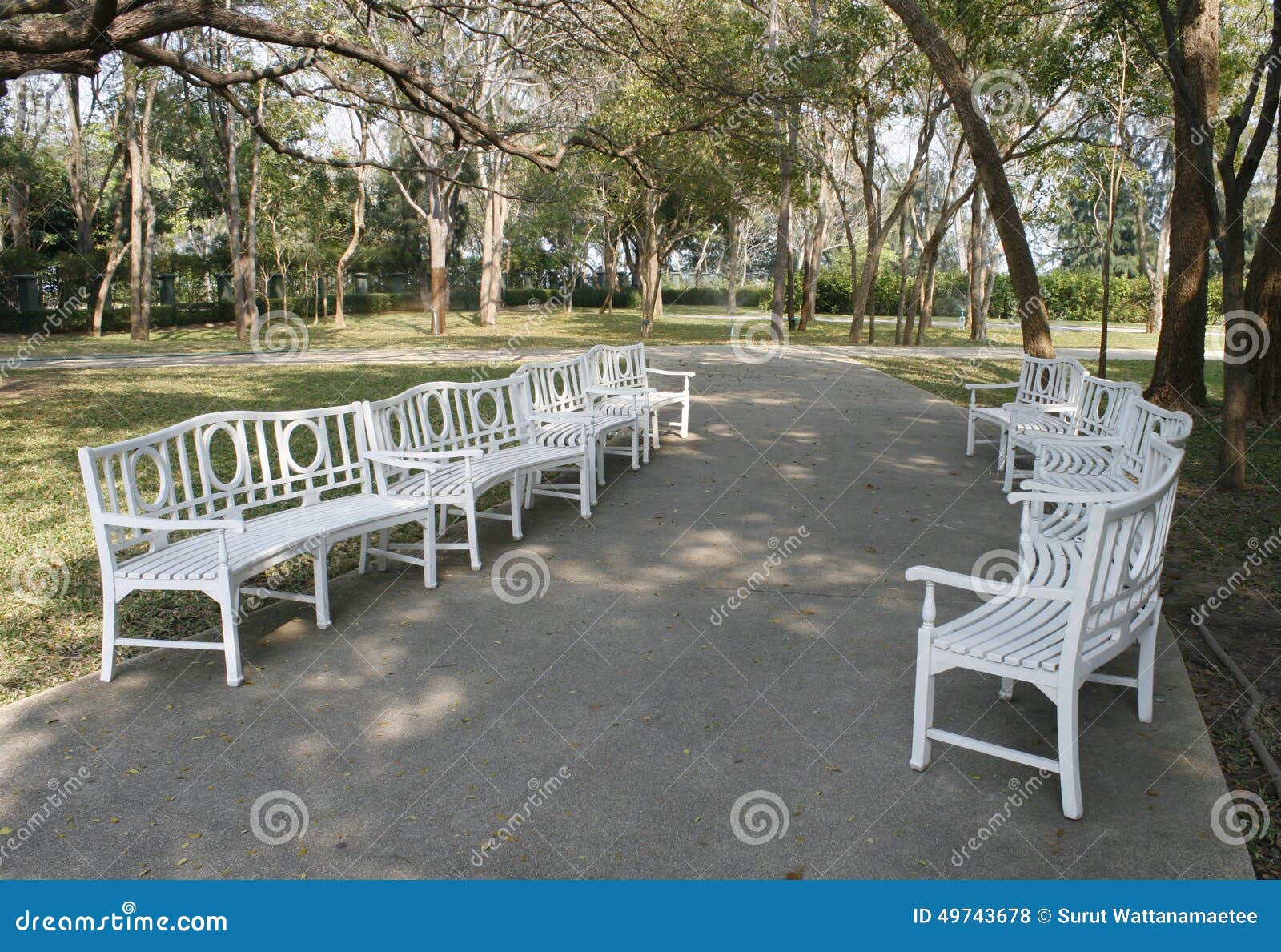 White park benches stock photo. Image of garden, park - 49743678