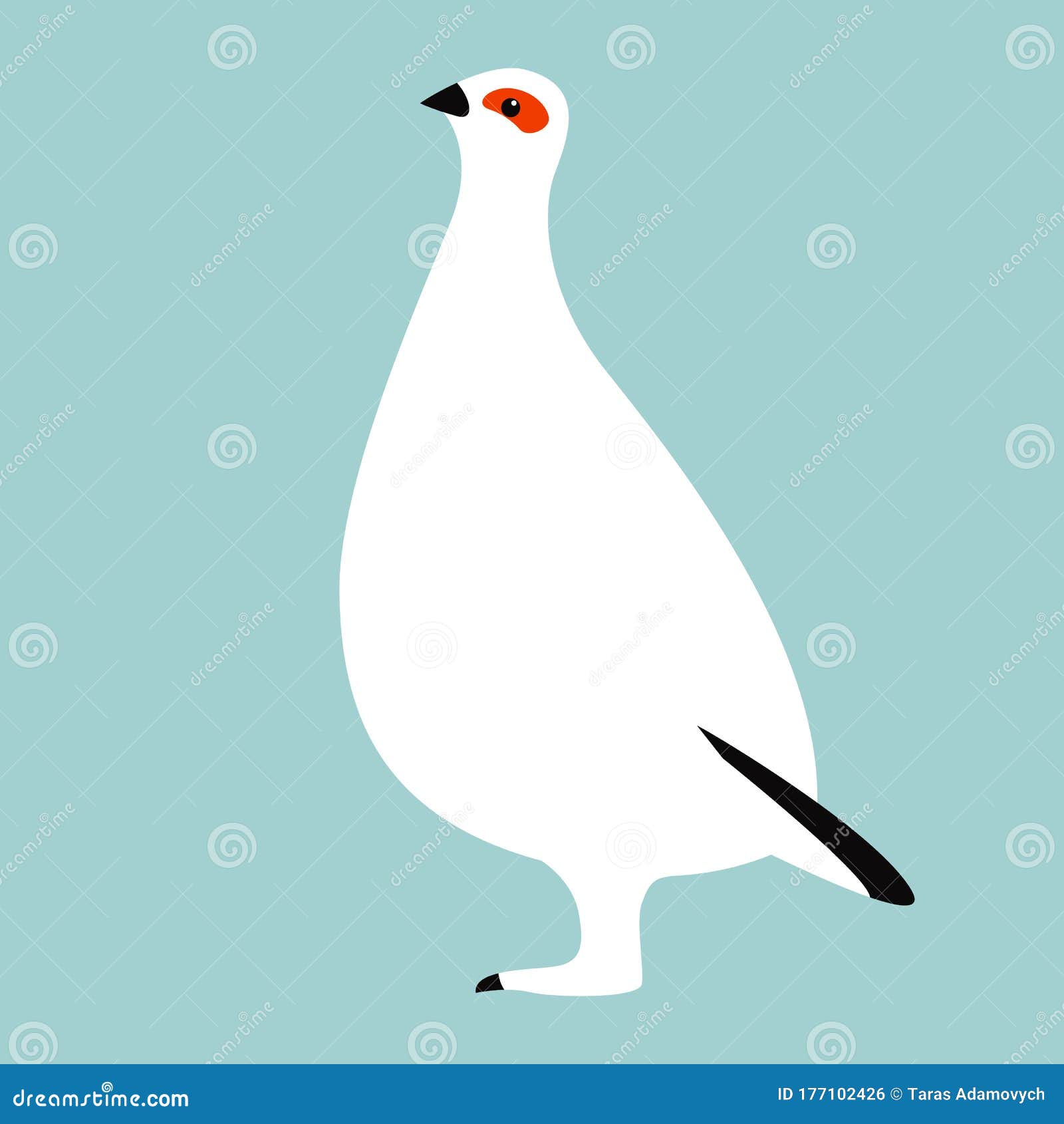 White Partridge Bird, Vector Illustration, Flat Style Stock Vector ...