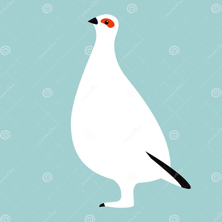 White Partridge Bird, Vector Illustration, Flat Style Stock Vector ...