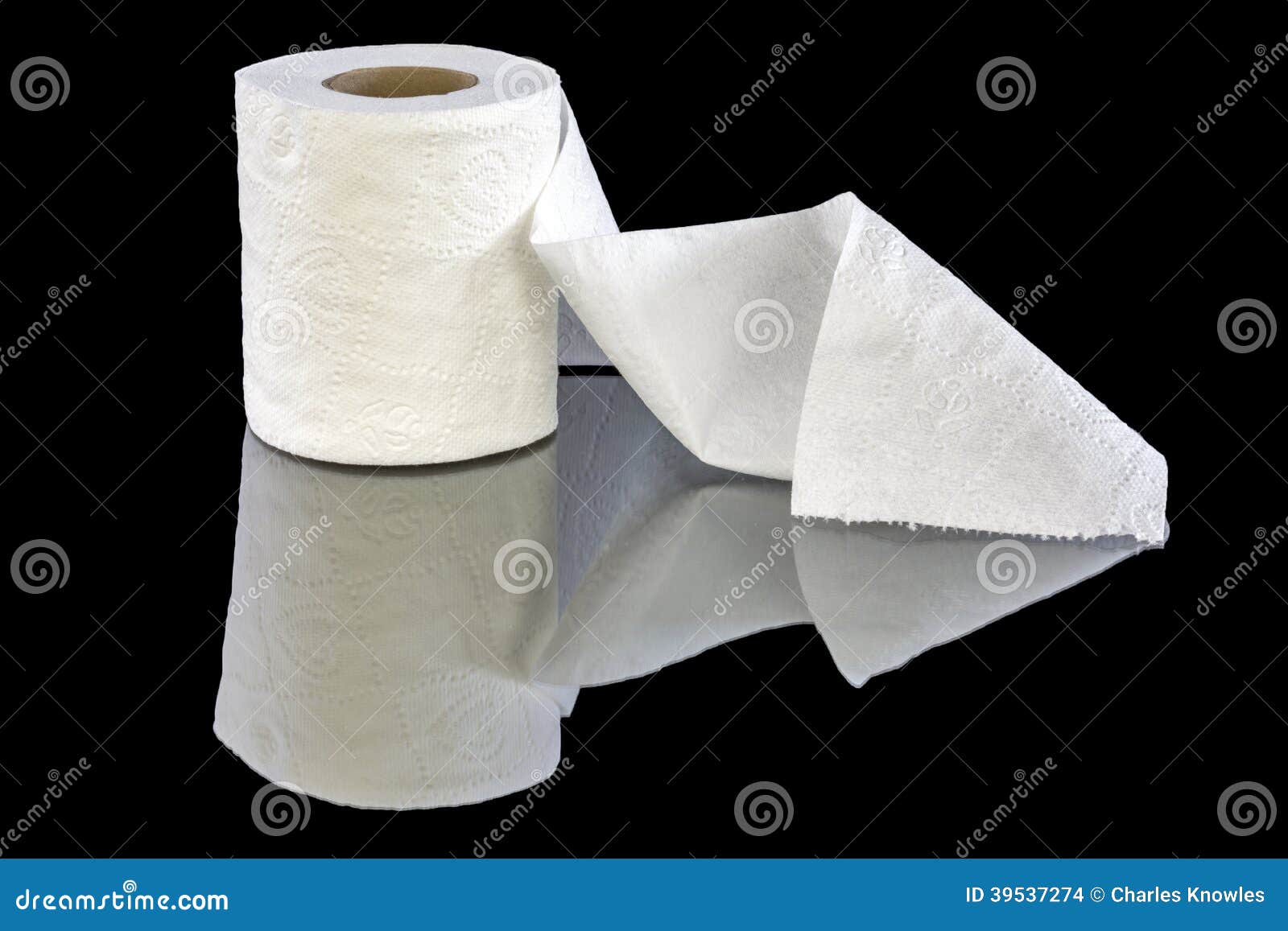 White Patterned Toilet Paper in a Roll Stock Photo - Image of round ...