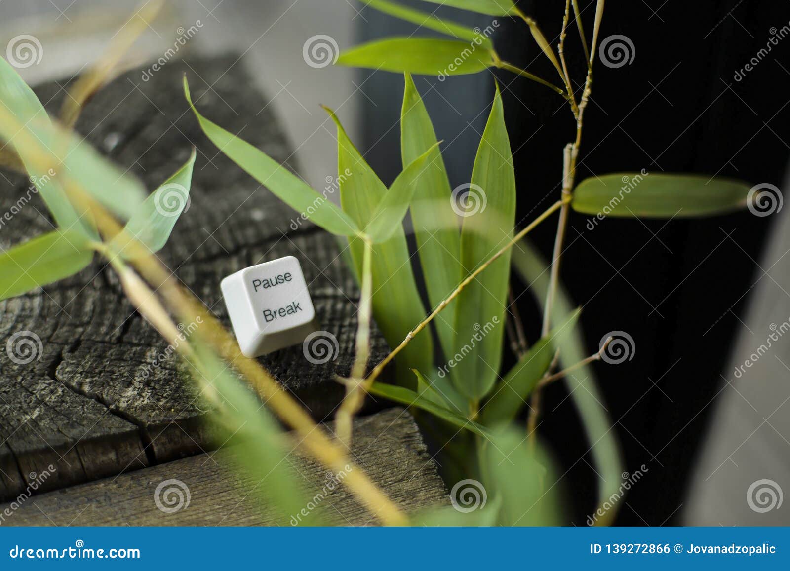 White Pause Button on the Keyboard in Nature. Stock Photo - Image of ...