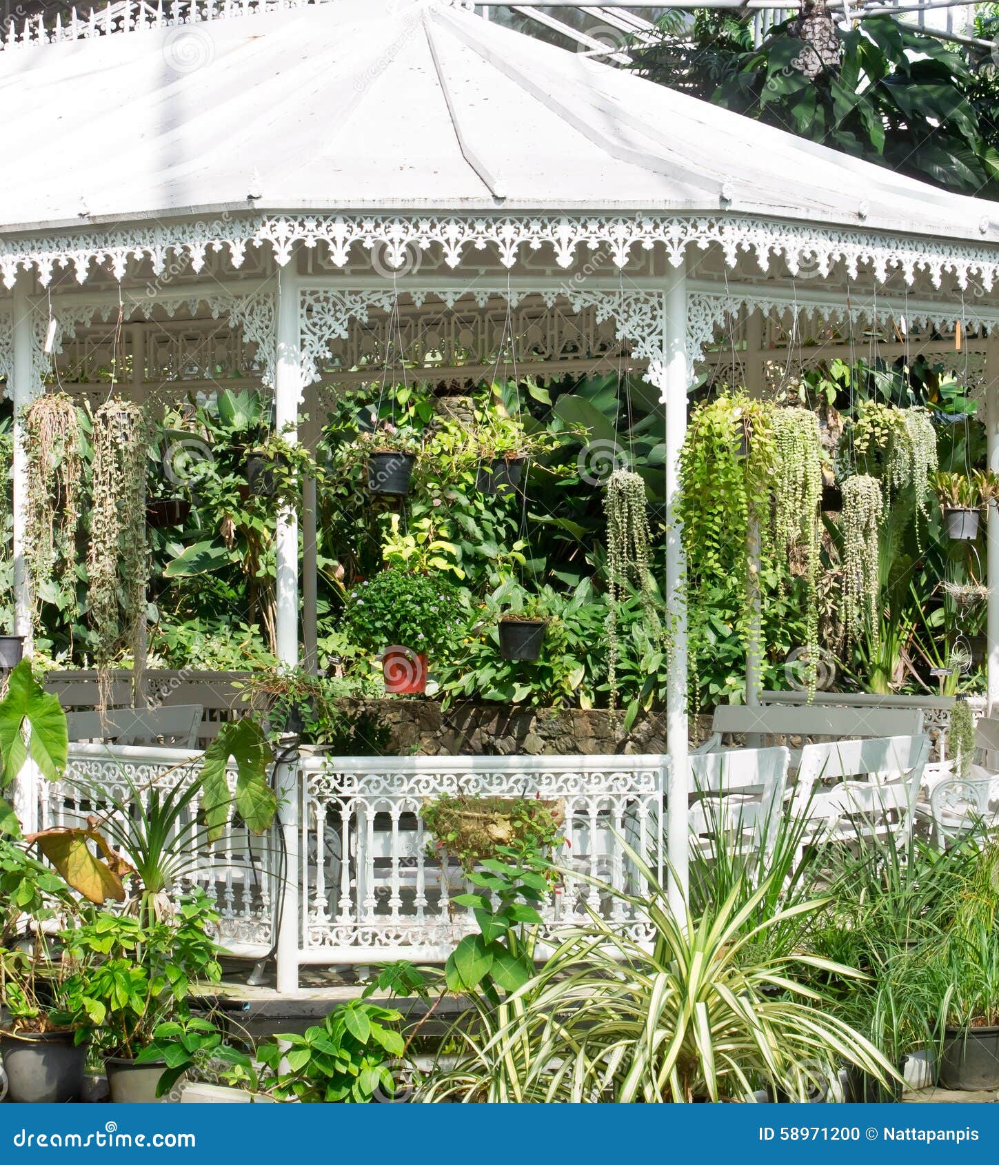 White Pavilion Plant in Garden Public Stock Photo - Image of pavilion ...