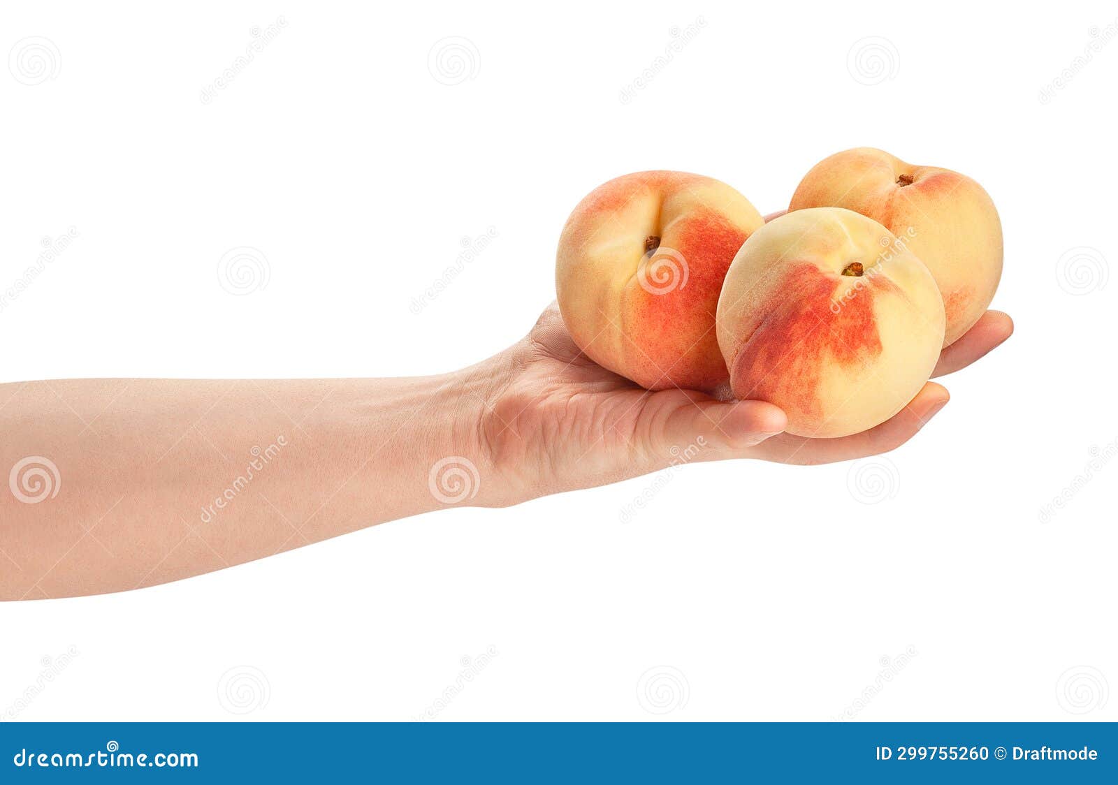 White peach in hand stock photo. Image of isolated, ingredient - 299755260