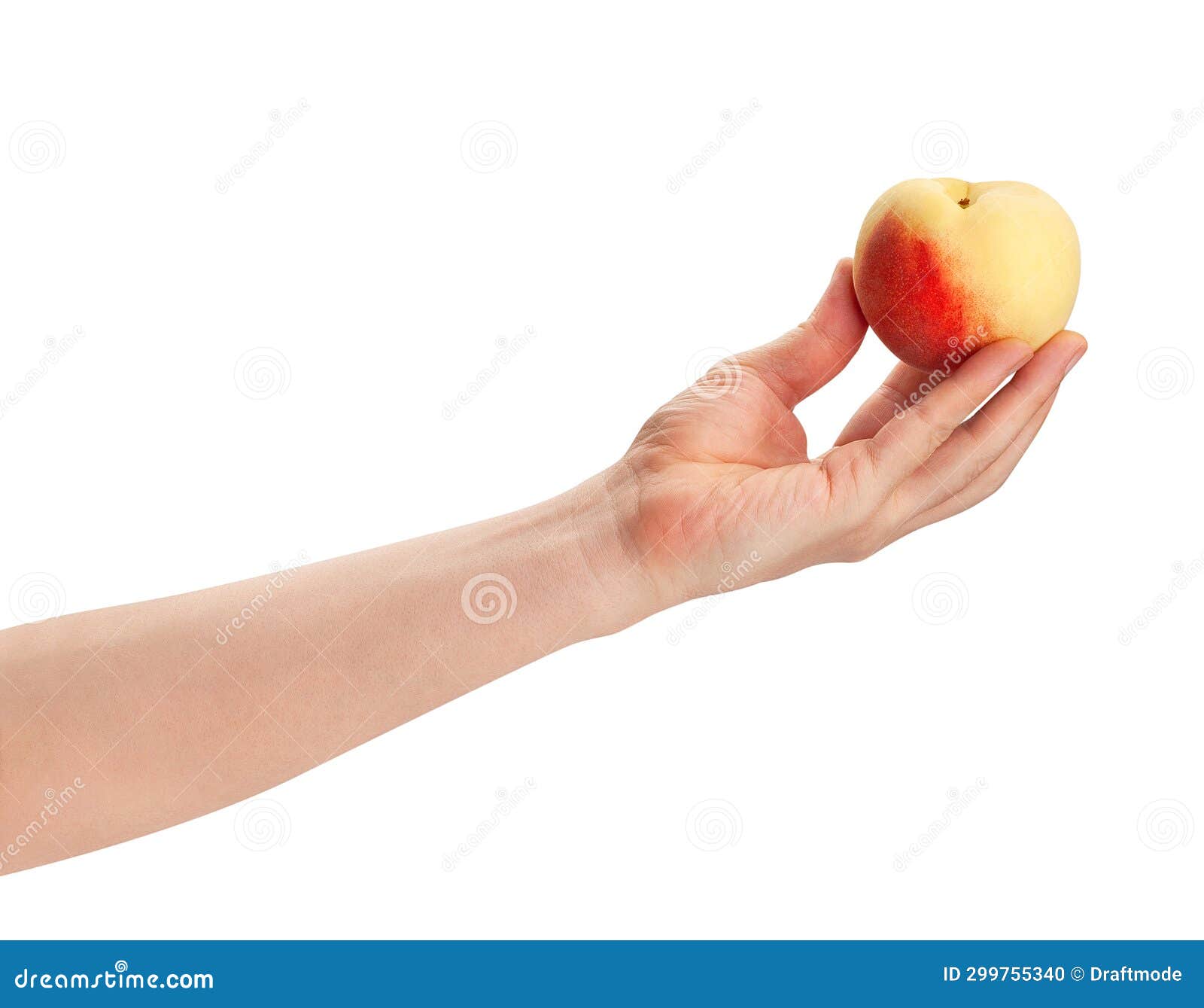 White peach in hand stock photo. Image of food, holding - 299755340